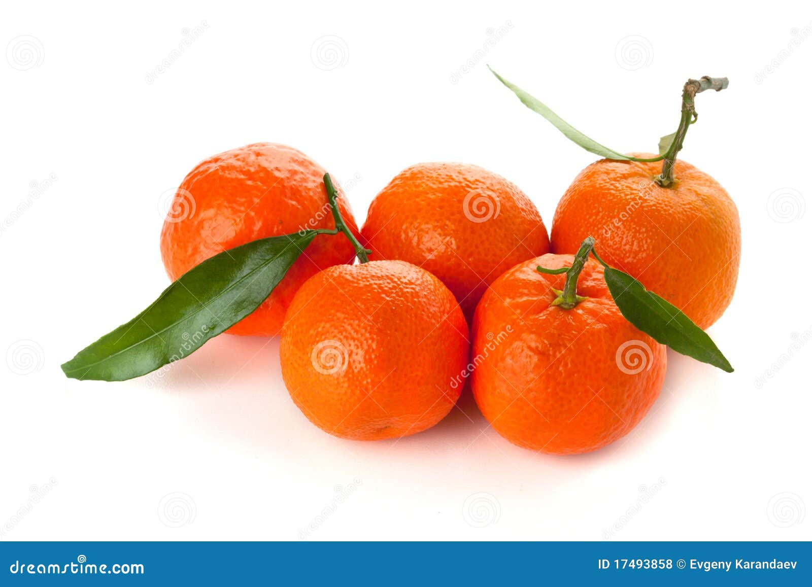 Five ripe tangerines stock photo. Image of background - 17493858