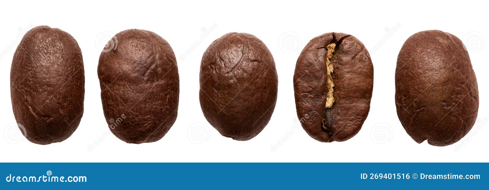 Five Roasted Brown Coffee Beans, of Different Shapes and Sizes, are ...