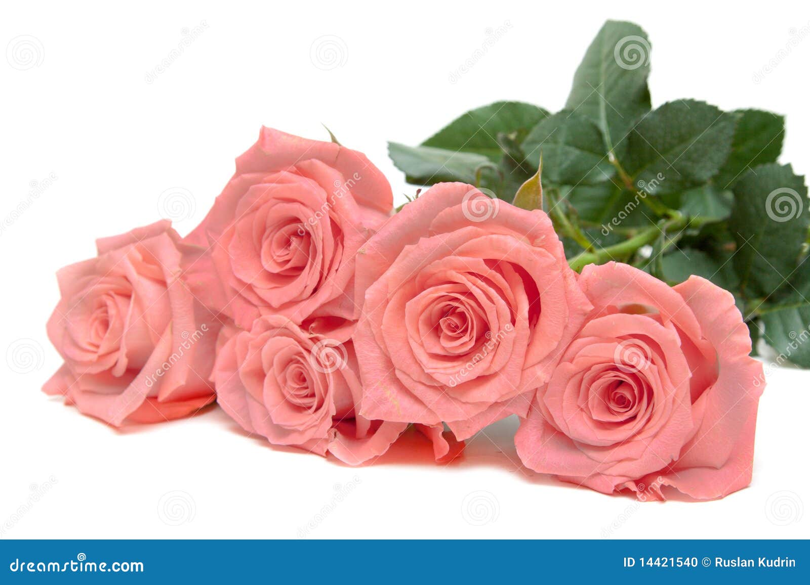 Five Roses Wedding Bouquets Royalty-Free Stock Photography ...