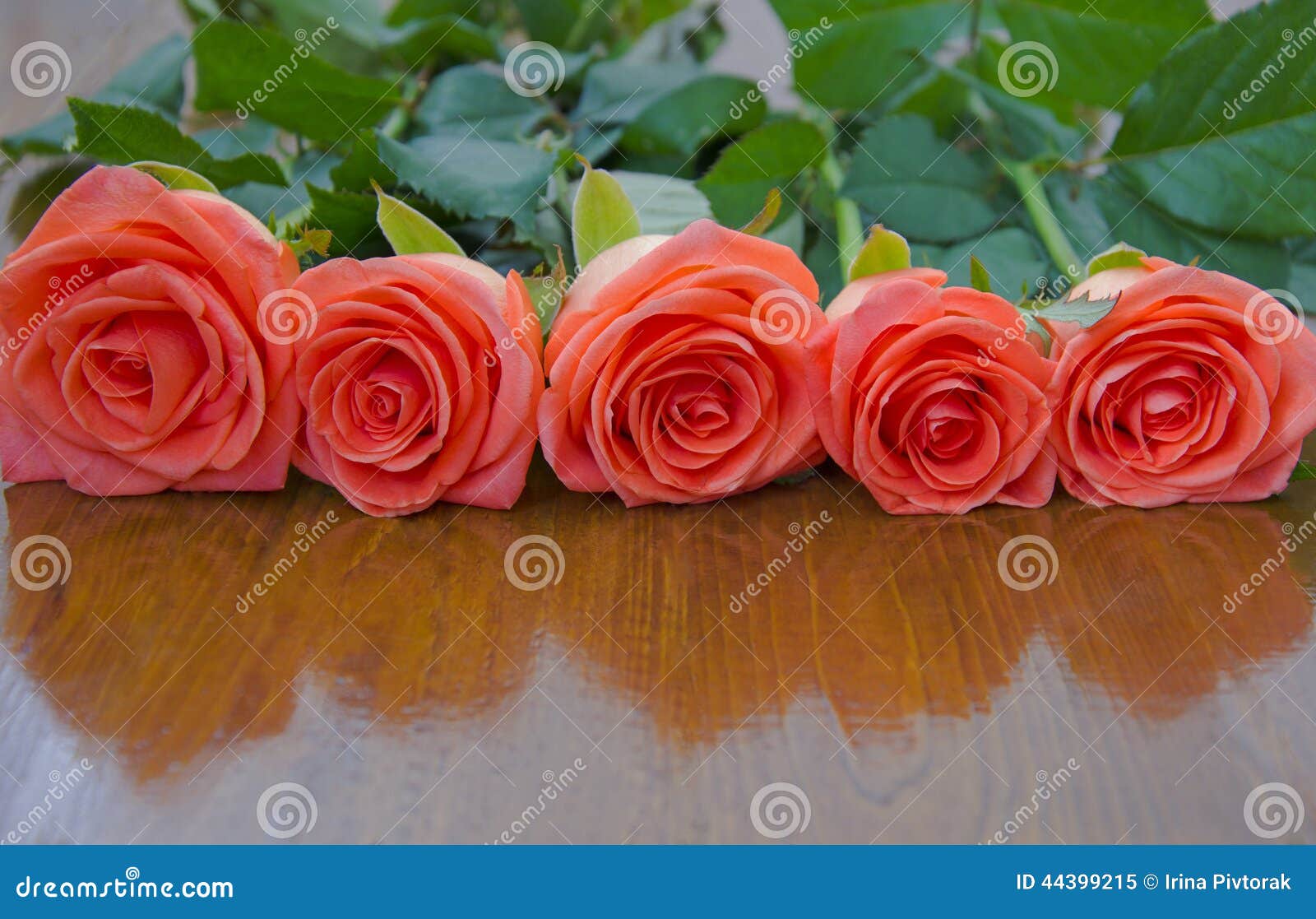 Five Roses stock image. Image of petal, backgrounds, arrangement - 44399215