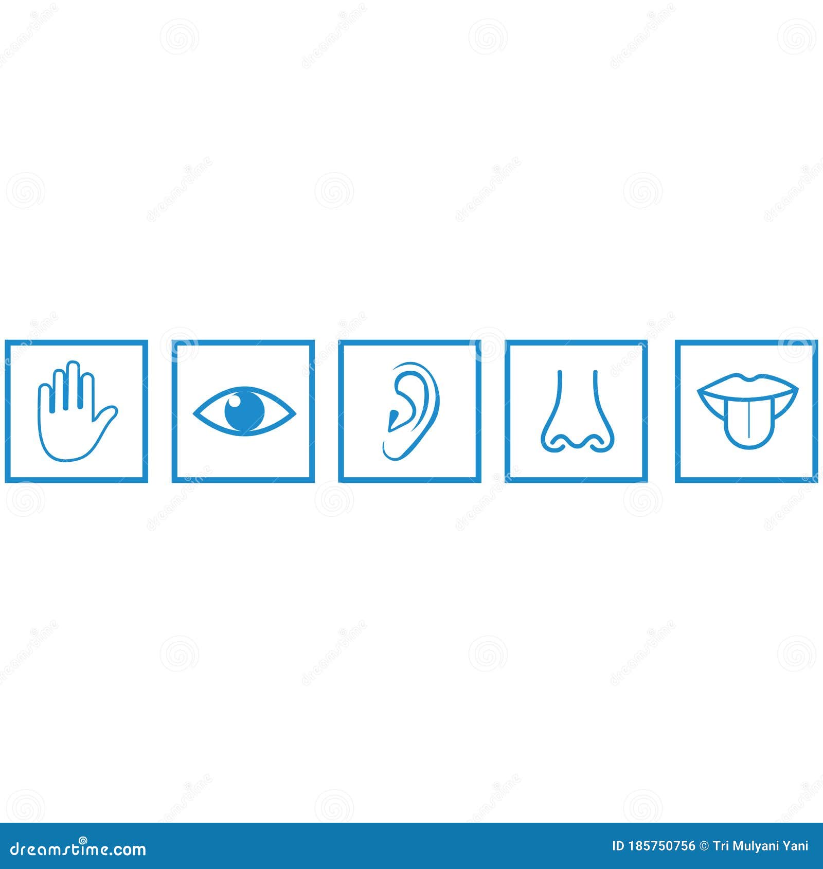 Five Sense Icon Vector Design Symbol Stock Vector - Illustration of ...