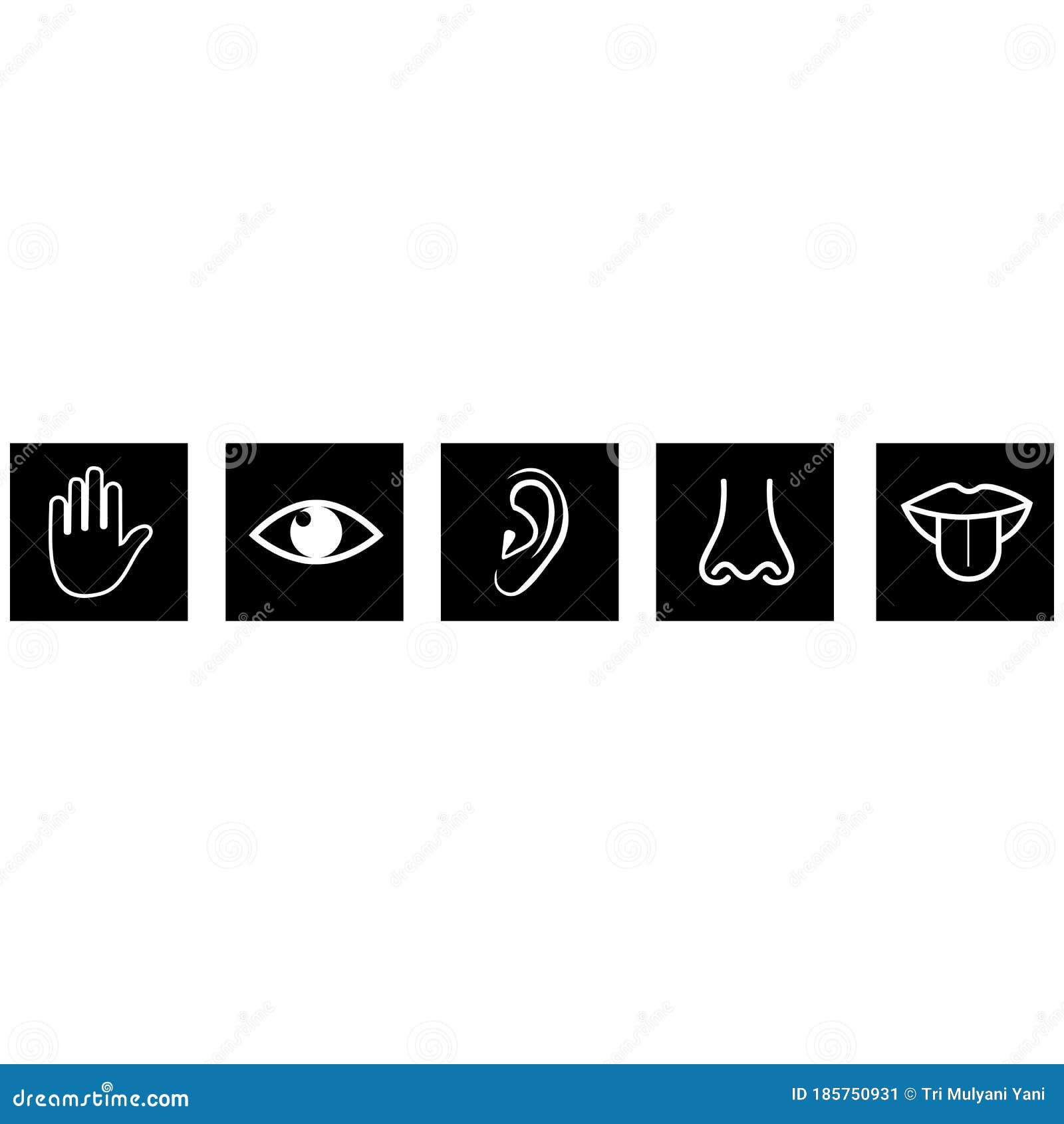 Five Sense Icon Vector Design Symbol Stock Vector - Illustration of ...