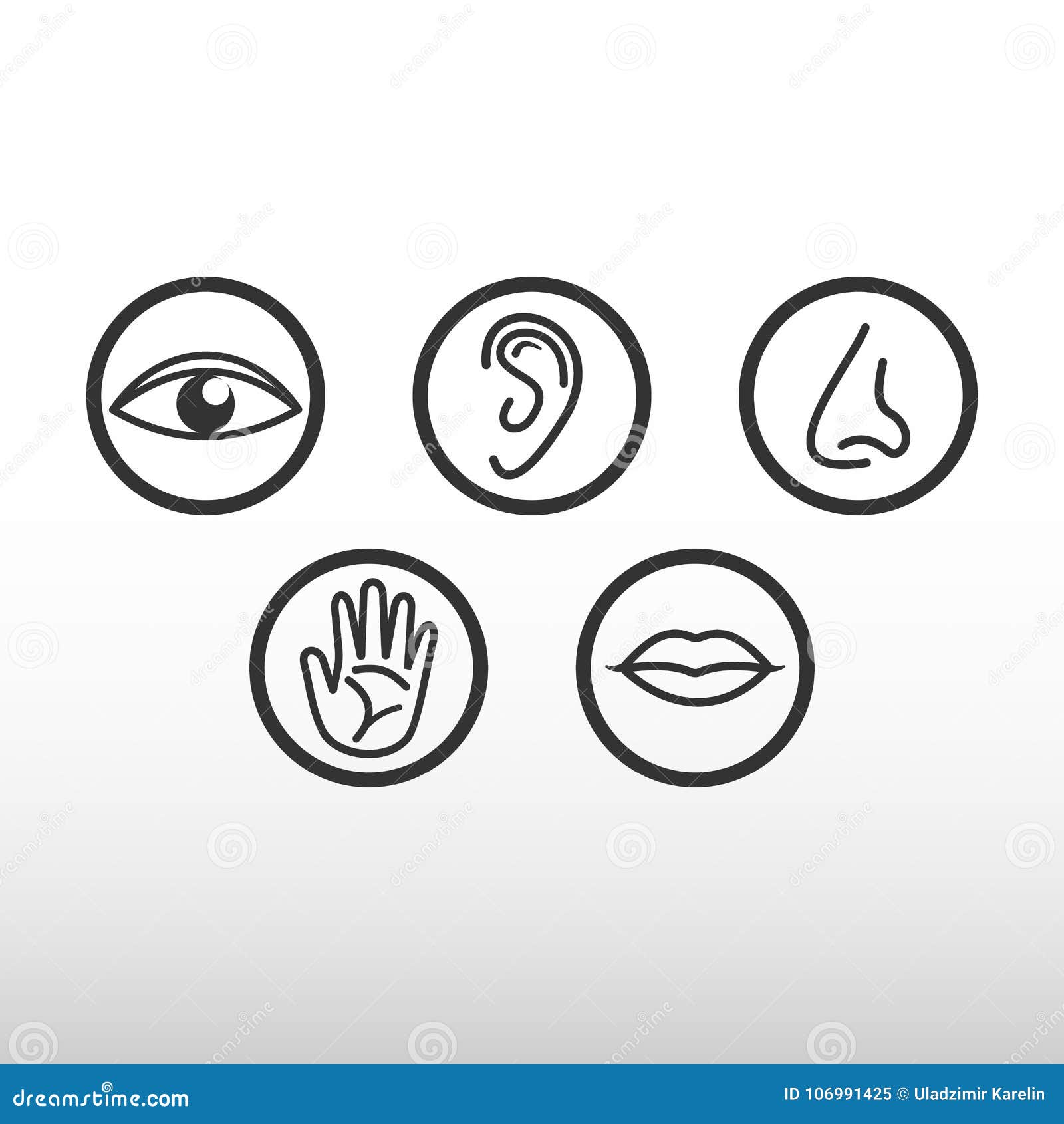 Five senses icon. stock vector. Illustration of sense - 106991425