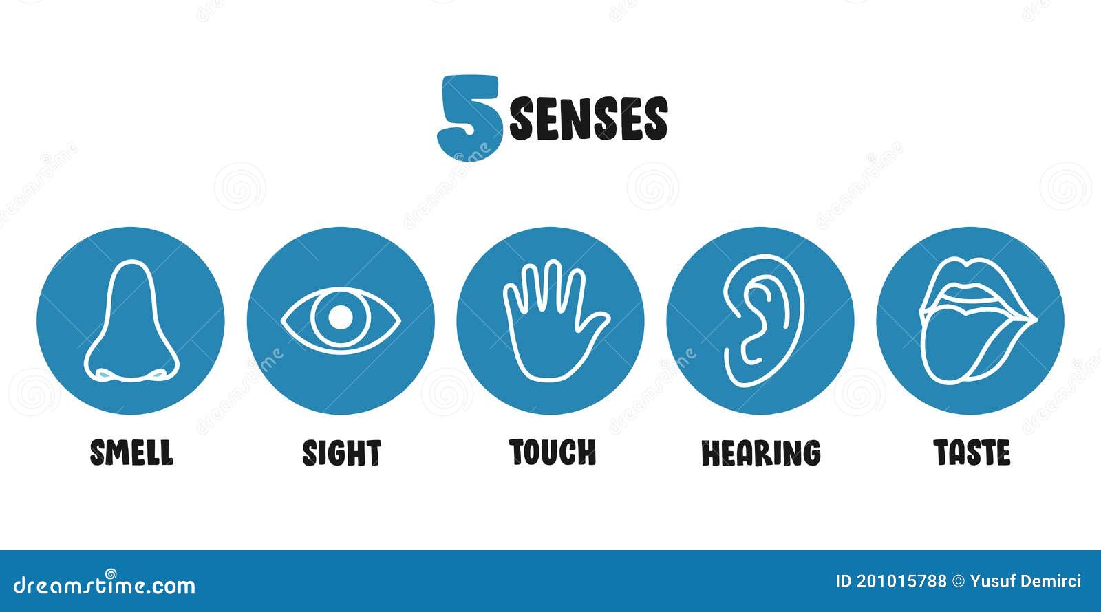 Five Senses Concept with Human Organs Stock Vector - Illustration of ... Five Senses Concept with Human Organs Stock Vector - Illustration of ...