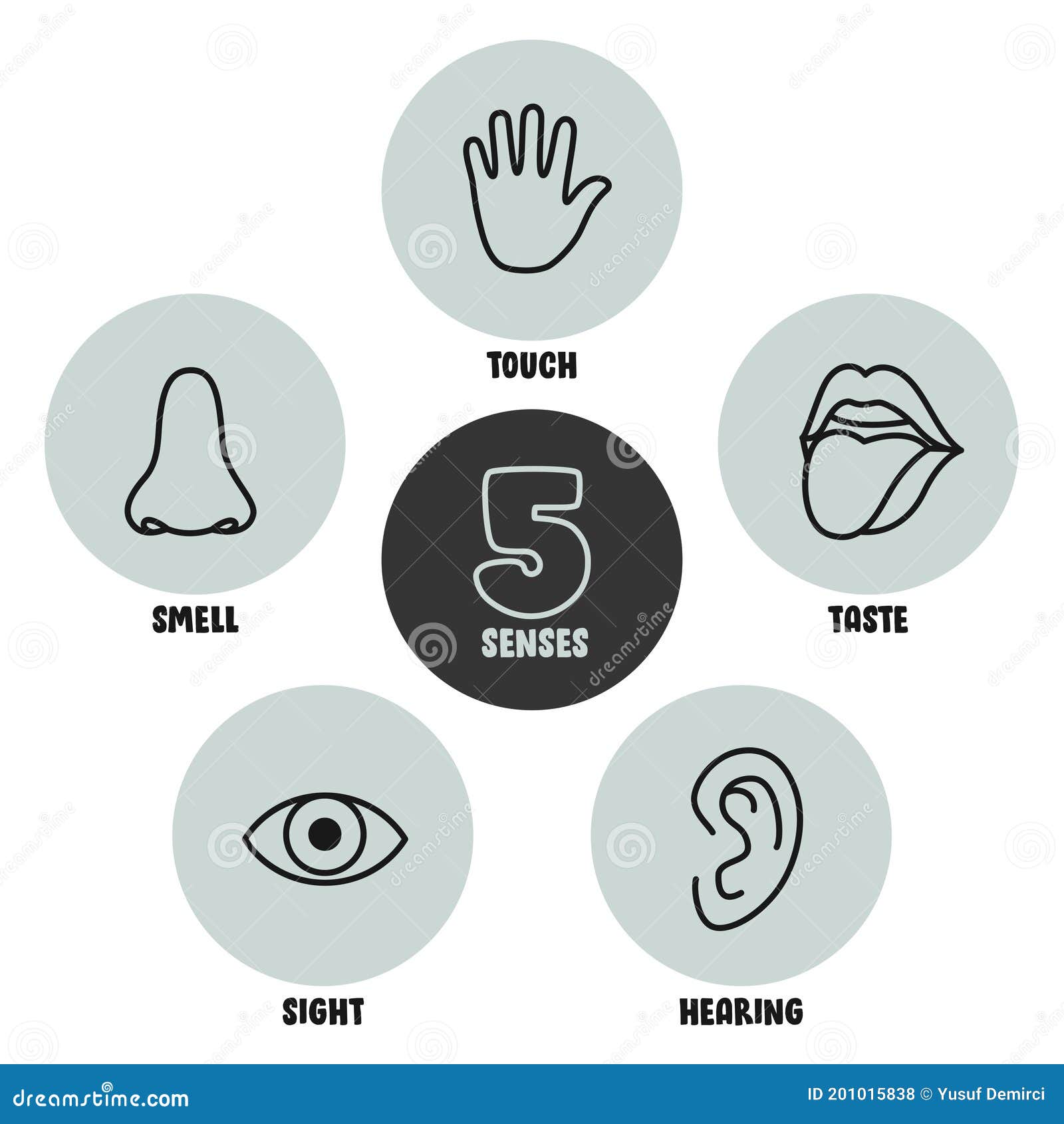 Five Senses Concept with Human Organs Stock Vector - Illustration of ...