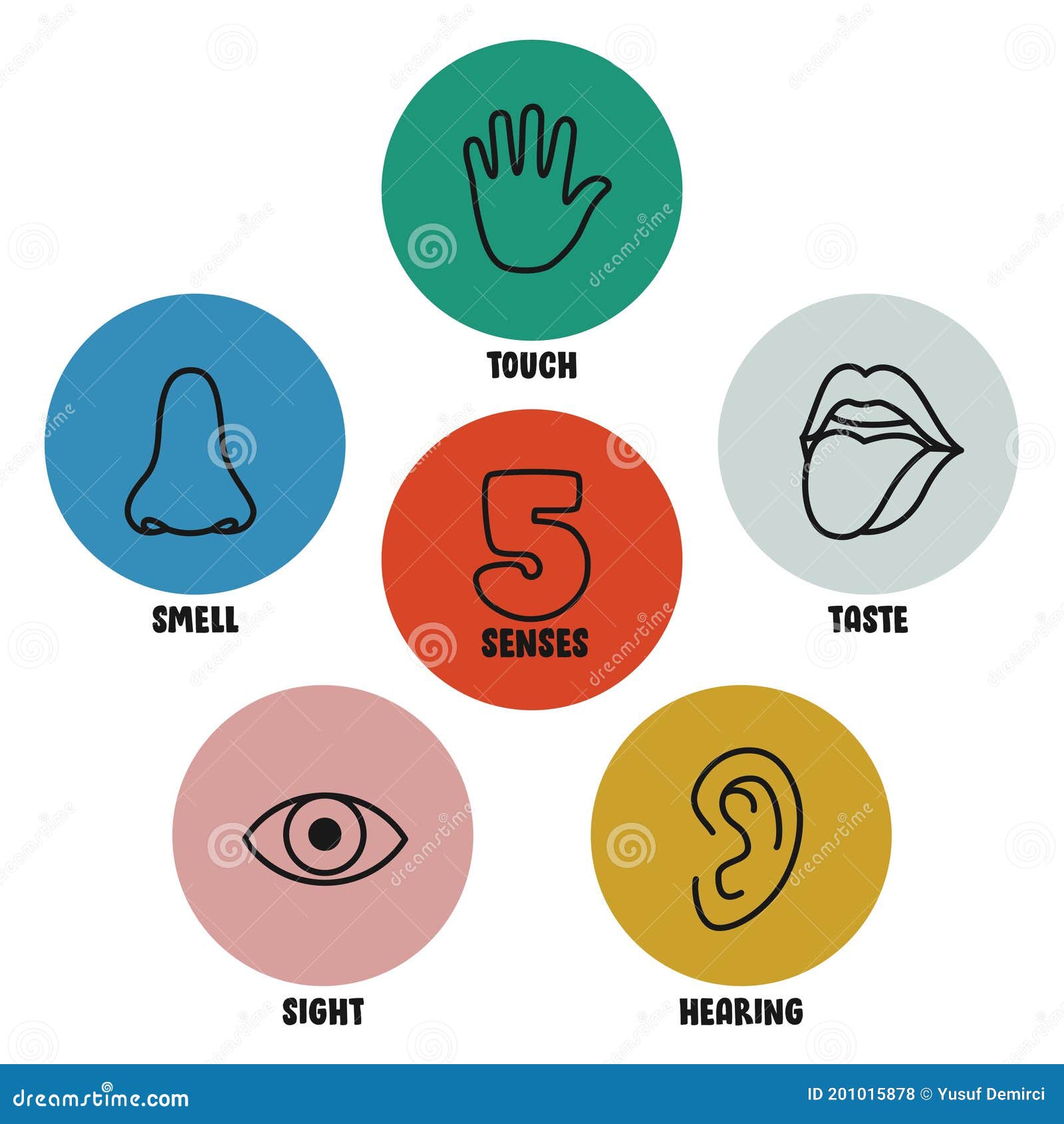 Five Senses Concept with Human Organs Stock Vector - Illustration of ... Five Senses Concept with Human Organs Stock Vector - Illustration of ...