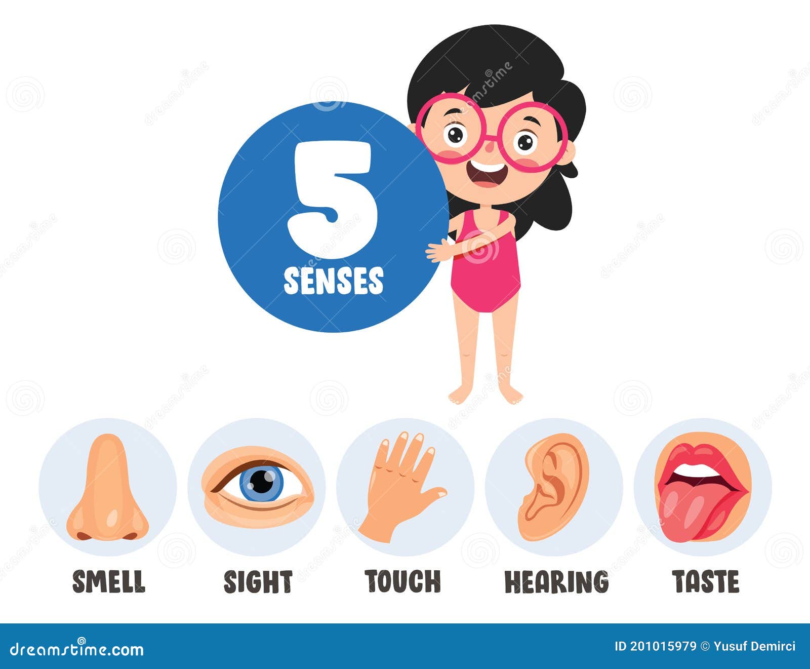 Five Senses Concept with Human Organs Stock Vector - Illustration of ...