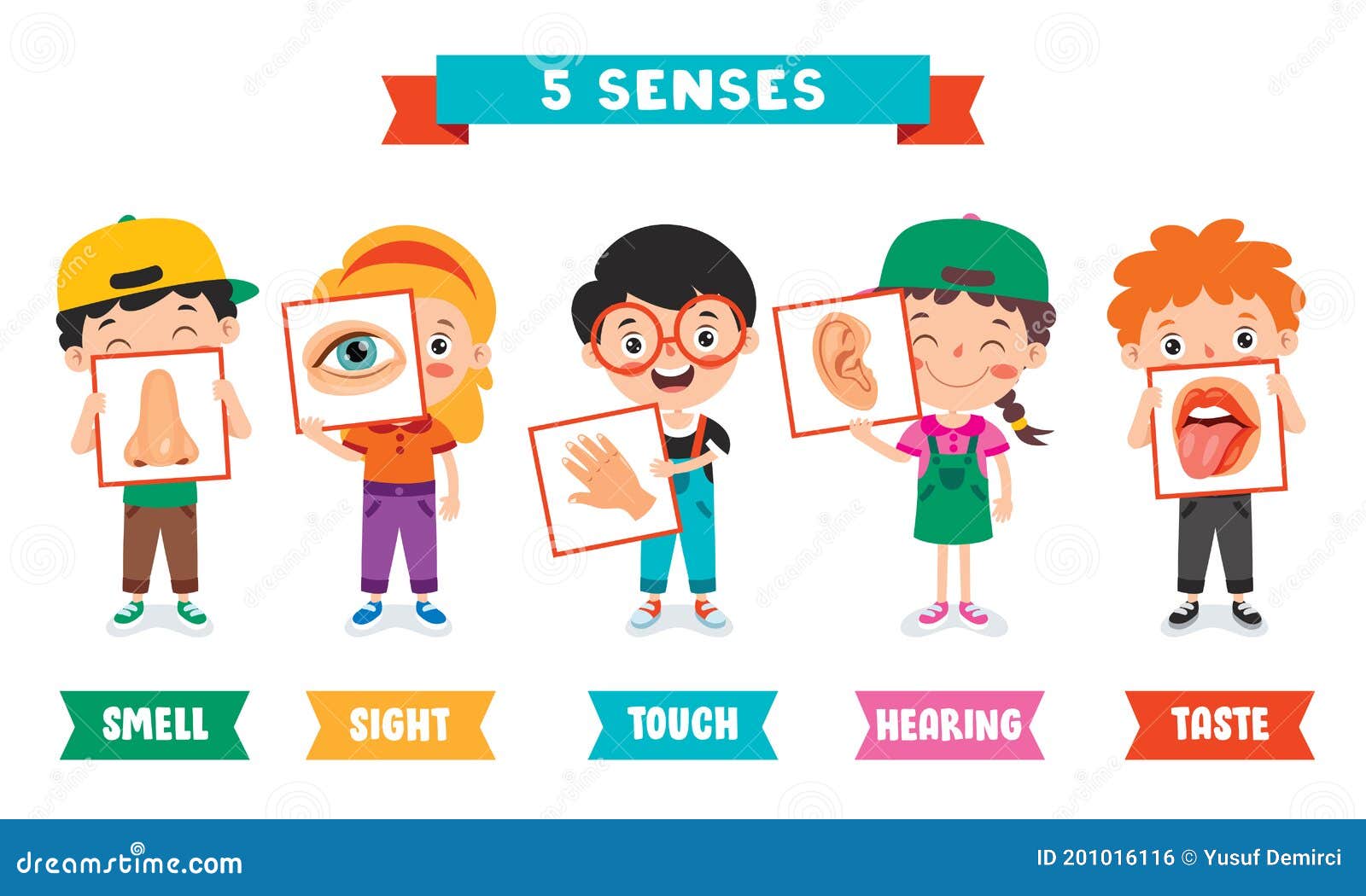 Five Senses Concept with Human Organs Stock Vector - Illustration of ...