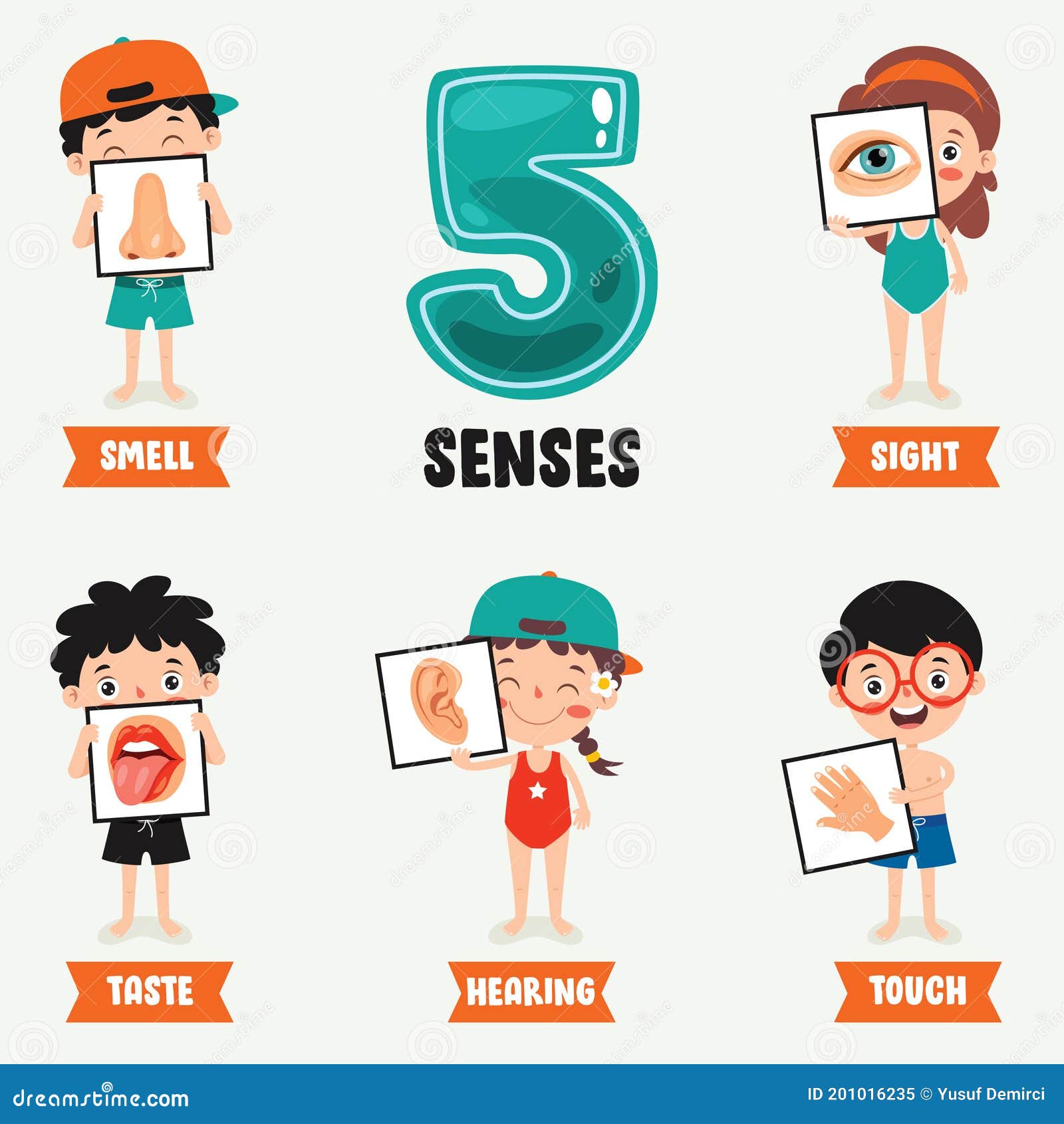 Five Senses Concept with Human Organs Stock Vector - Illustration of ...