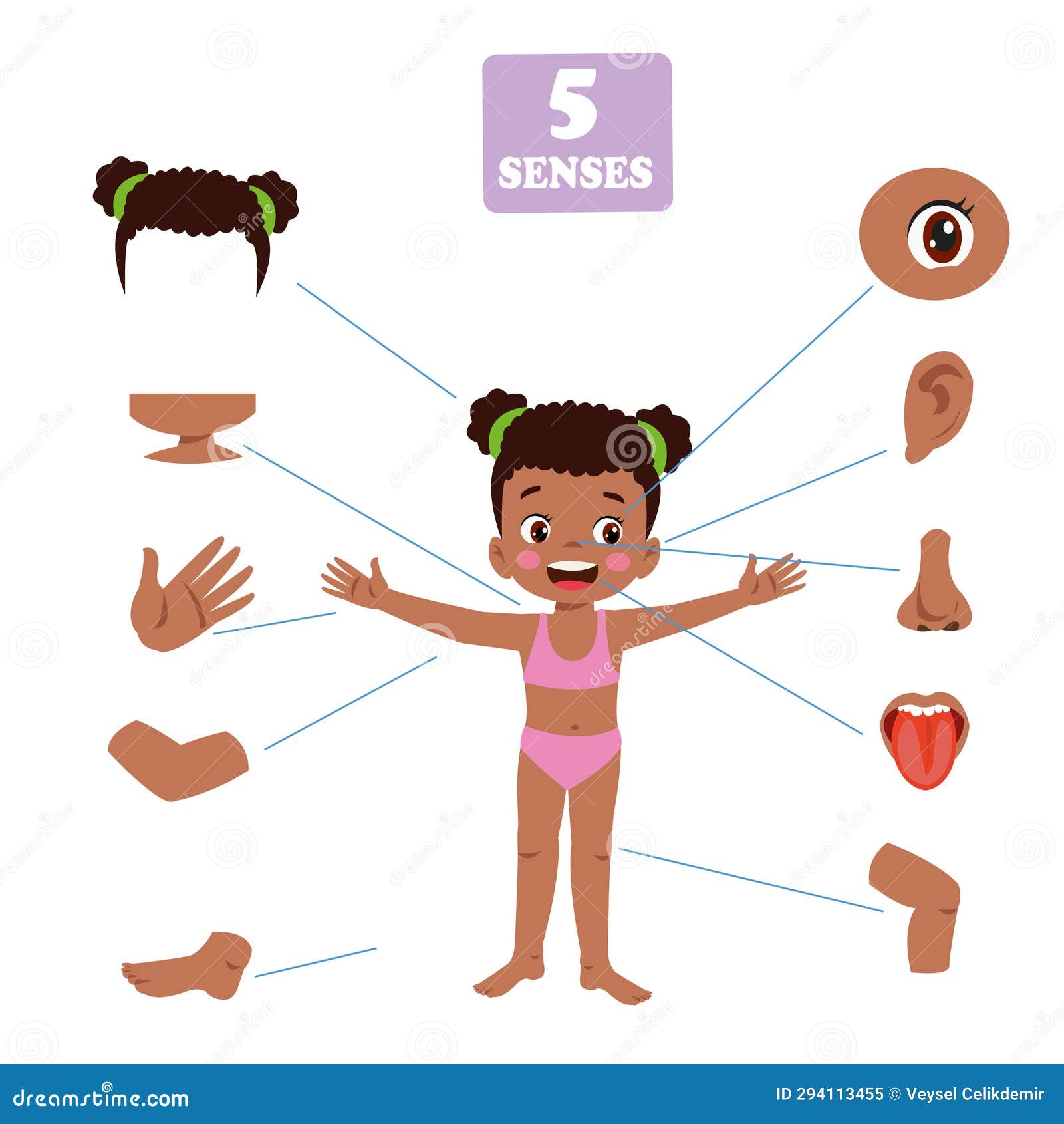 Five Senses Concept with Human Organs Stock Vector - Illustration of ...