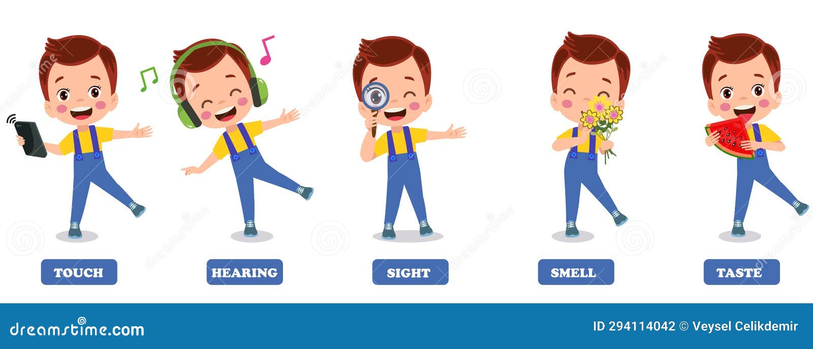 Senses Concept Illustration. A Visual Exploration Of The Five Senses ...