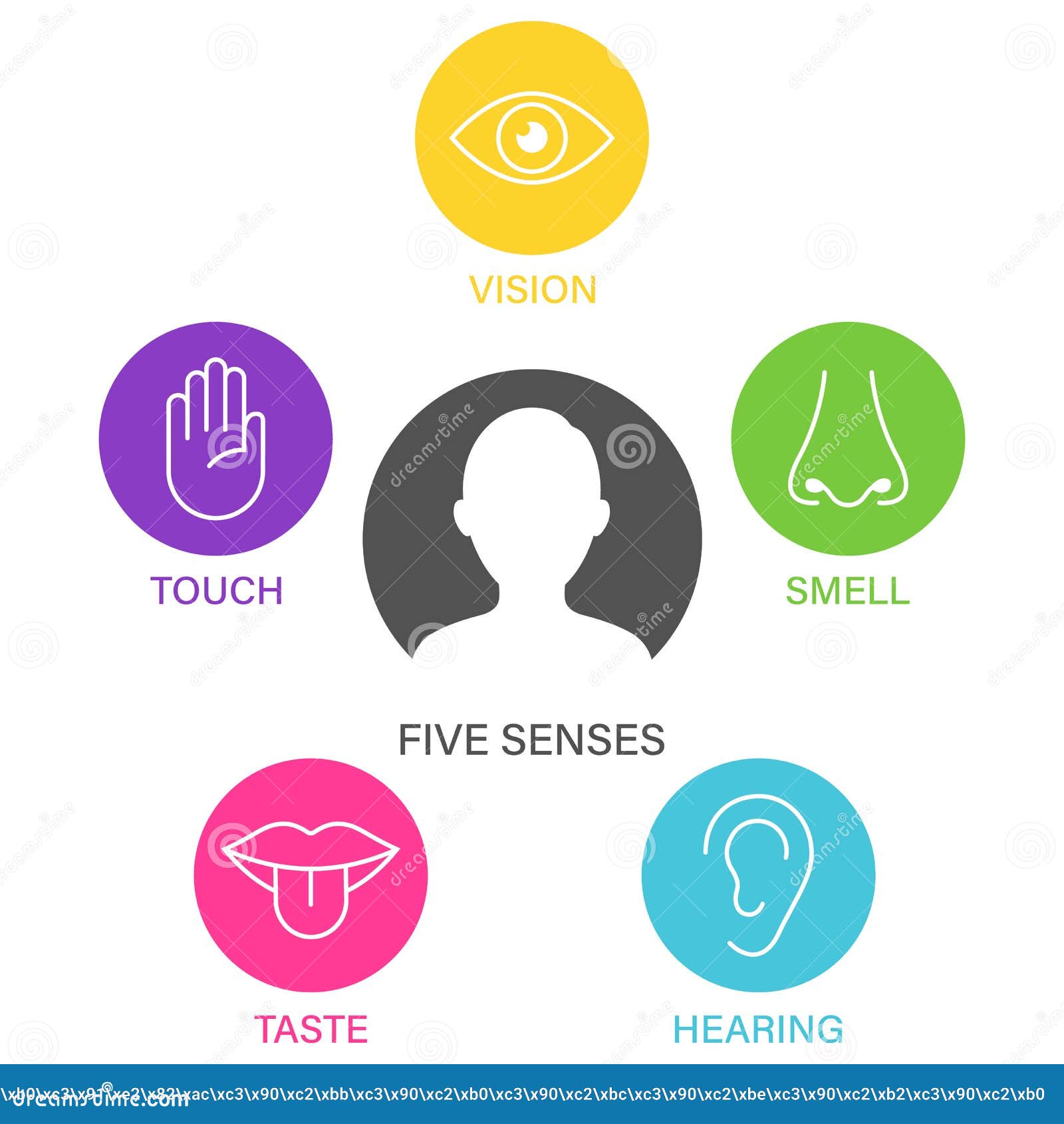 Five Senses Of Human Nervous System Icon Vector Illustration Simple