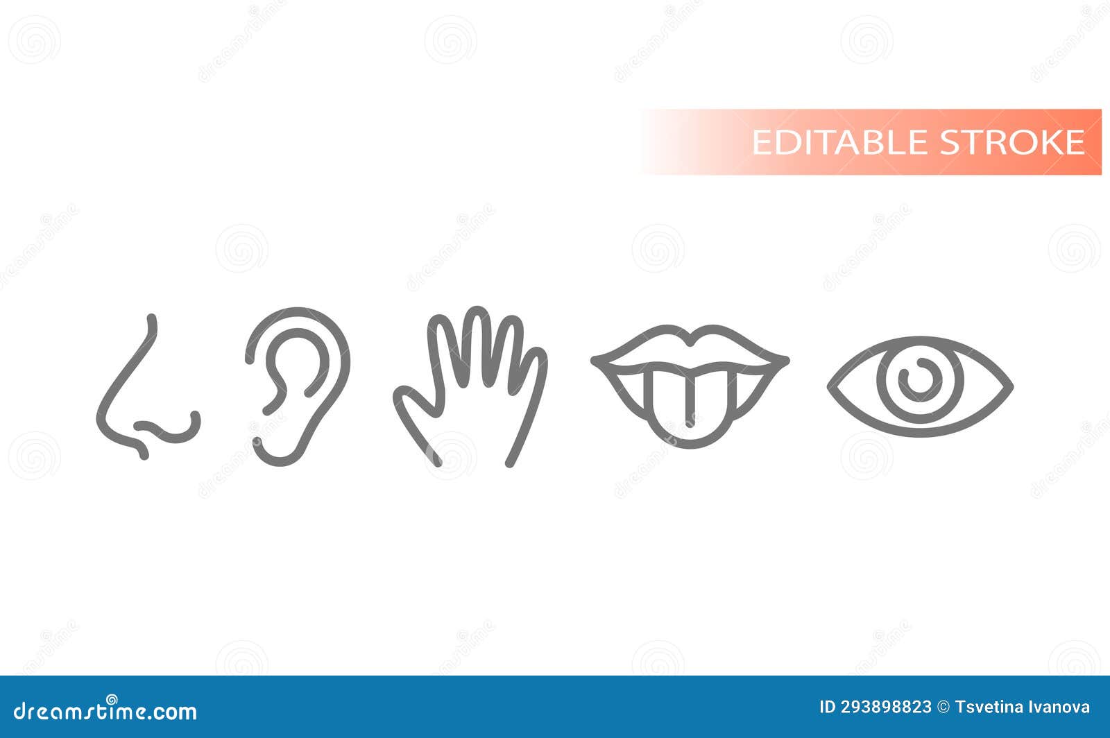 Sensory Organs Icon Set Cartoon Vector | CartoonDealer.com #175728143 Sensory Organs Icon Set Cartoon Vector | CartoonDealer.com #175728143