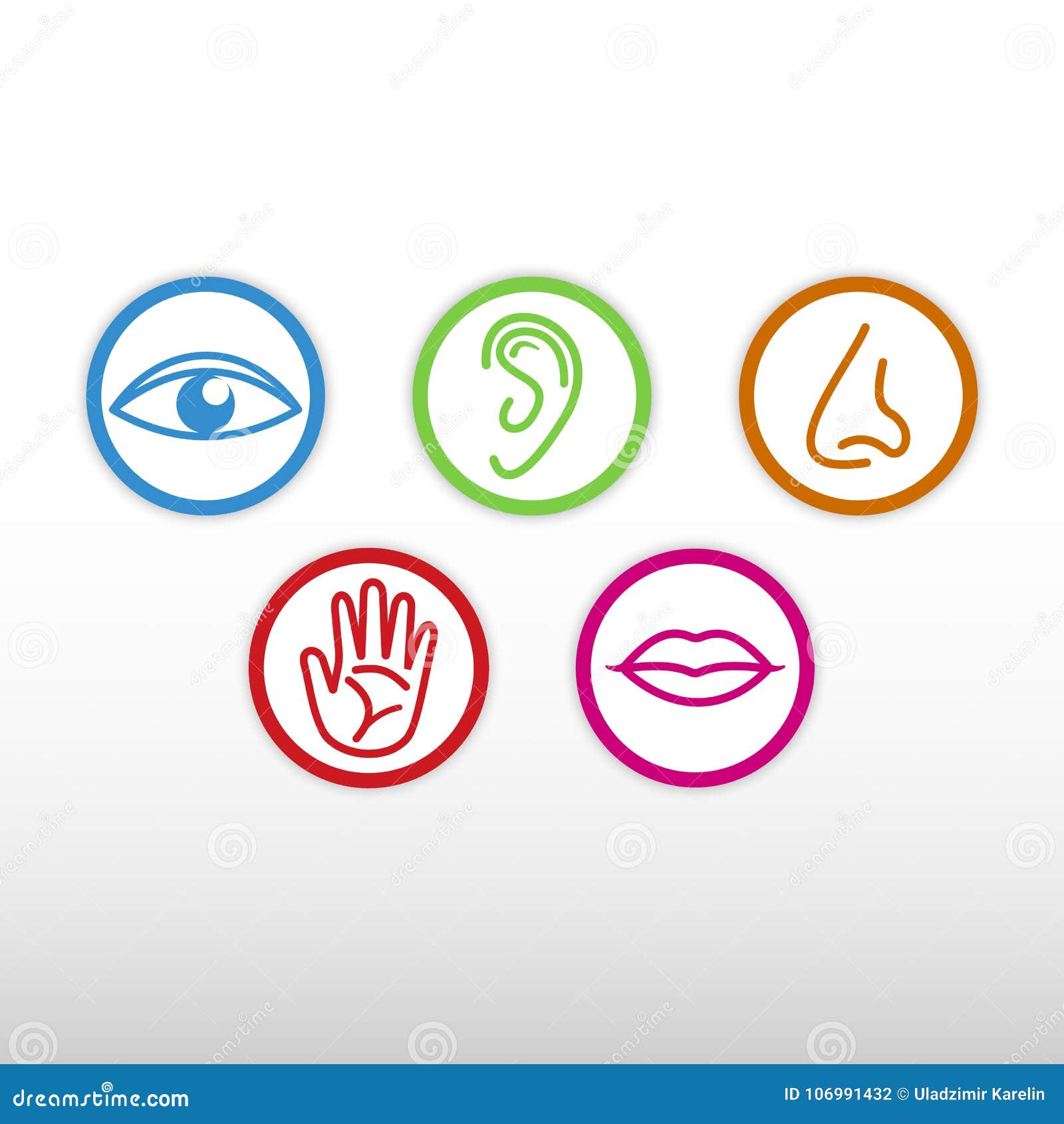 Five senses icon. stock vector. Illustration of hear - 106991432