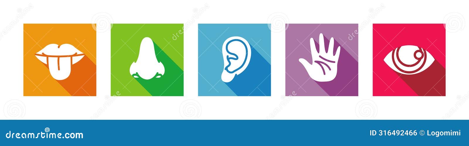 Five Senses Icon Set, Collection of Human Senses Vector Image, Flat ...