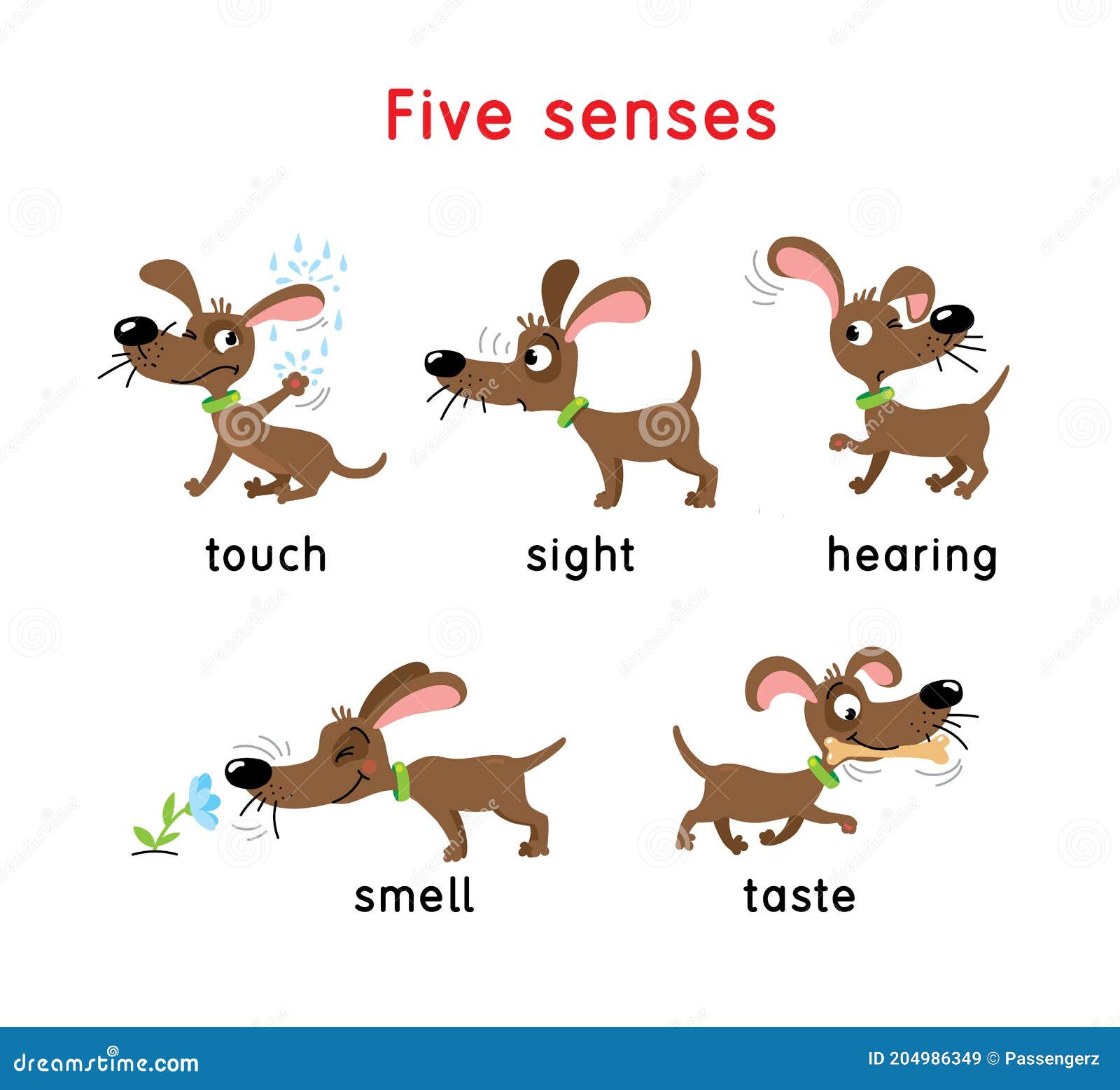 Animal Hearing Frequency Range. Hearing Range Describes The Rang Vector ... Animal Hearing Frequency Range. Hearing Range Describes The Rang Vector ...