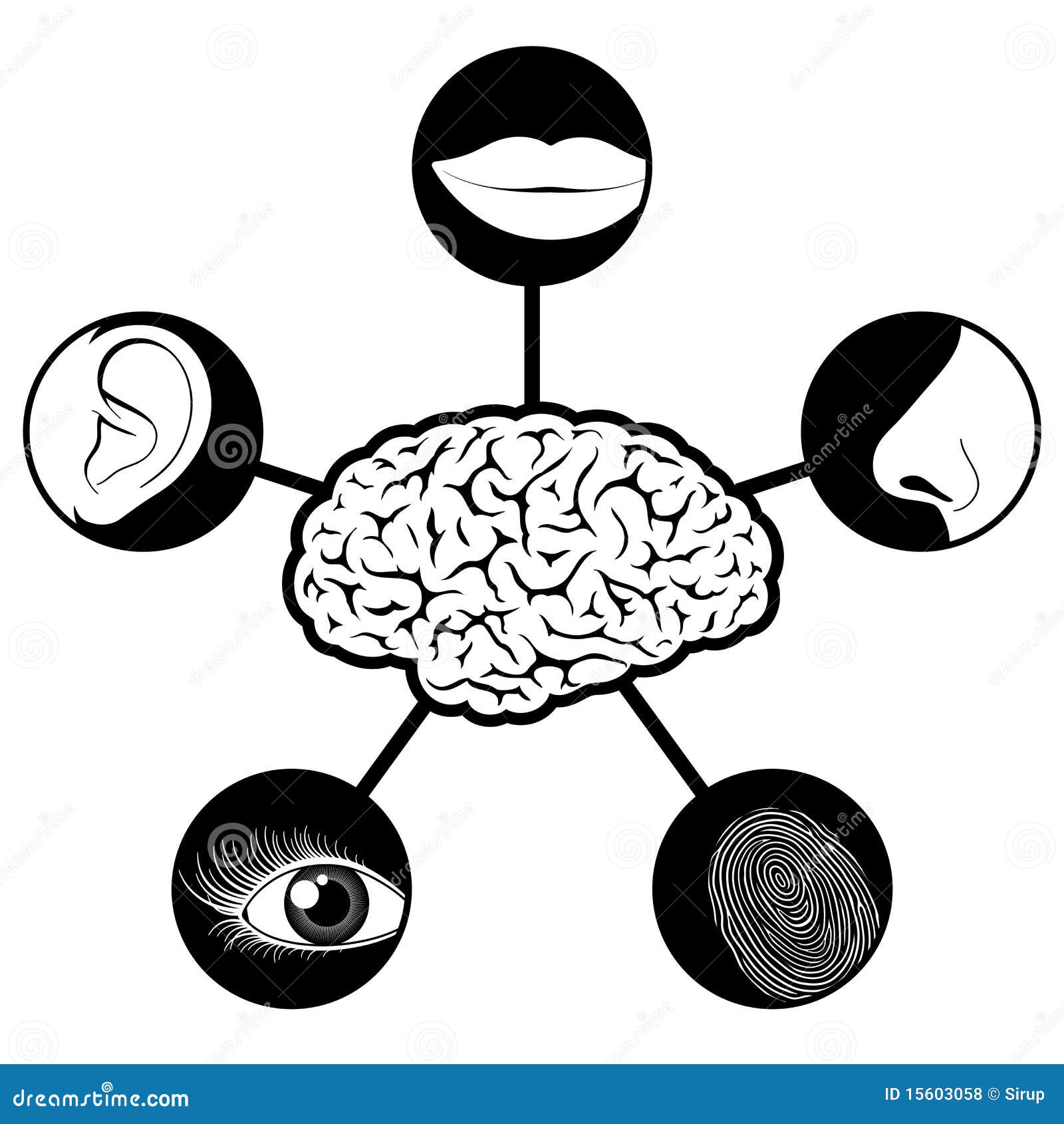Five Senses Icons Controlled by Brain Stock Vector - Illustration of ...