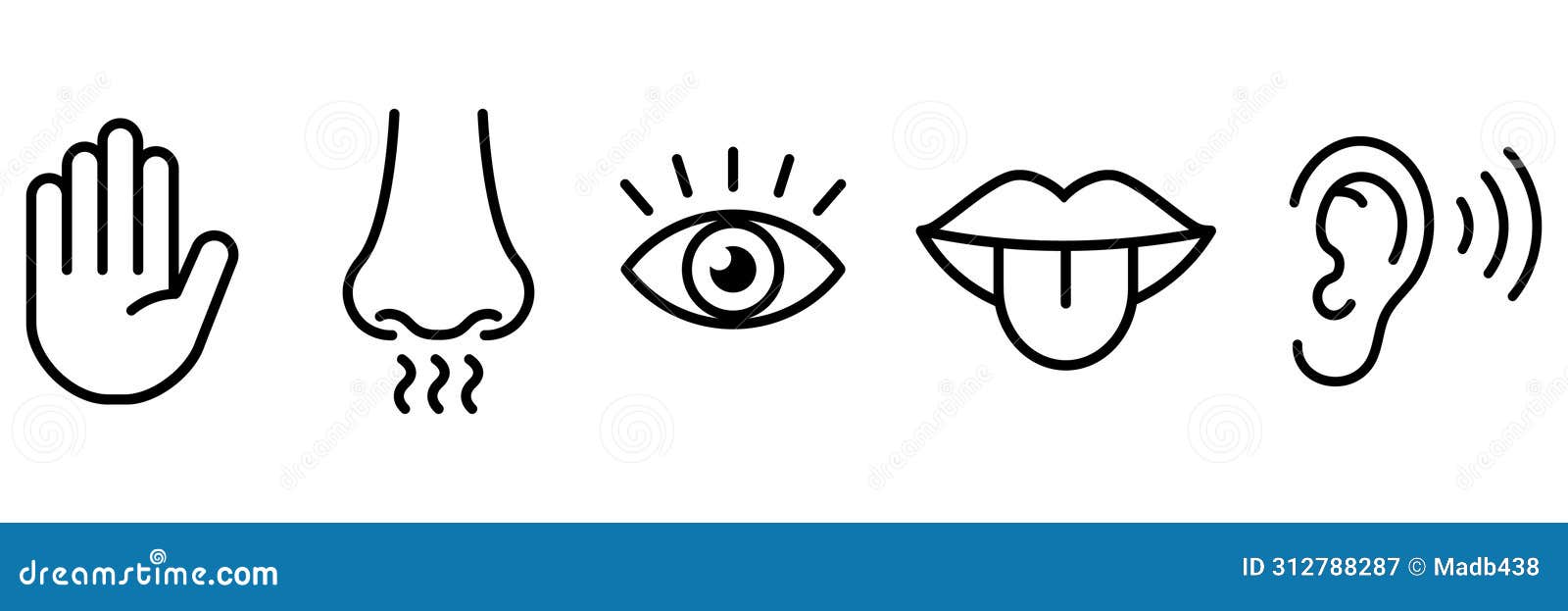 Five Senses Icons Design in Linear Style. Stock Vector - Illustration ...