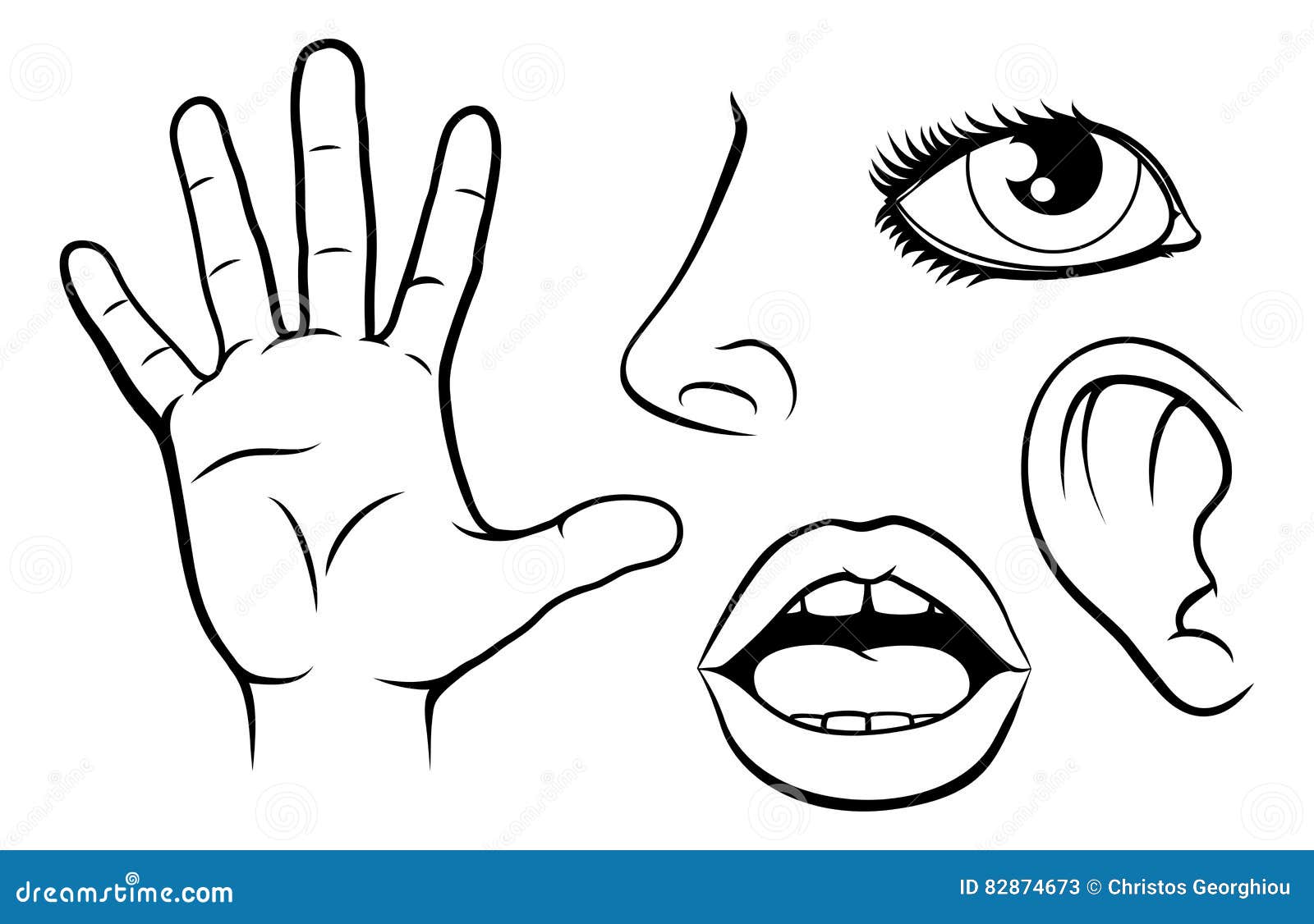Five Senses Illustration stock vector. Illustration of drawing - 82874673