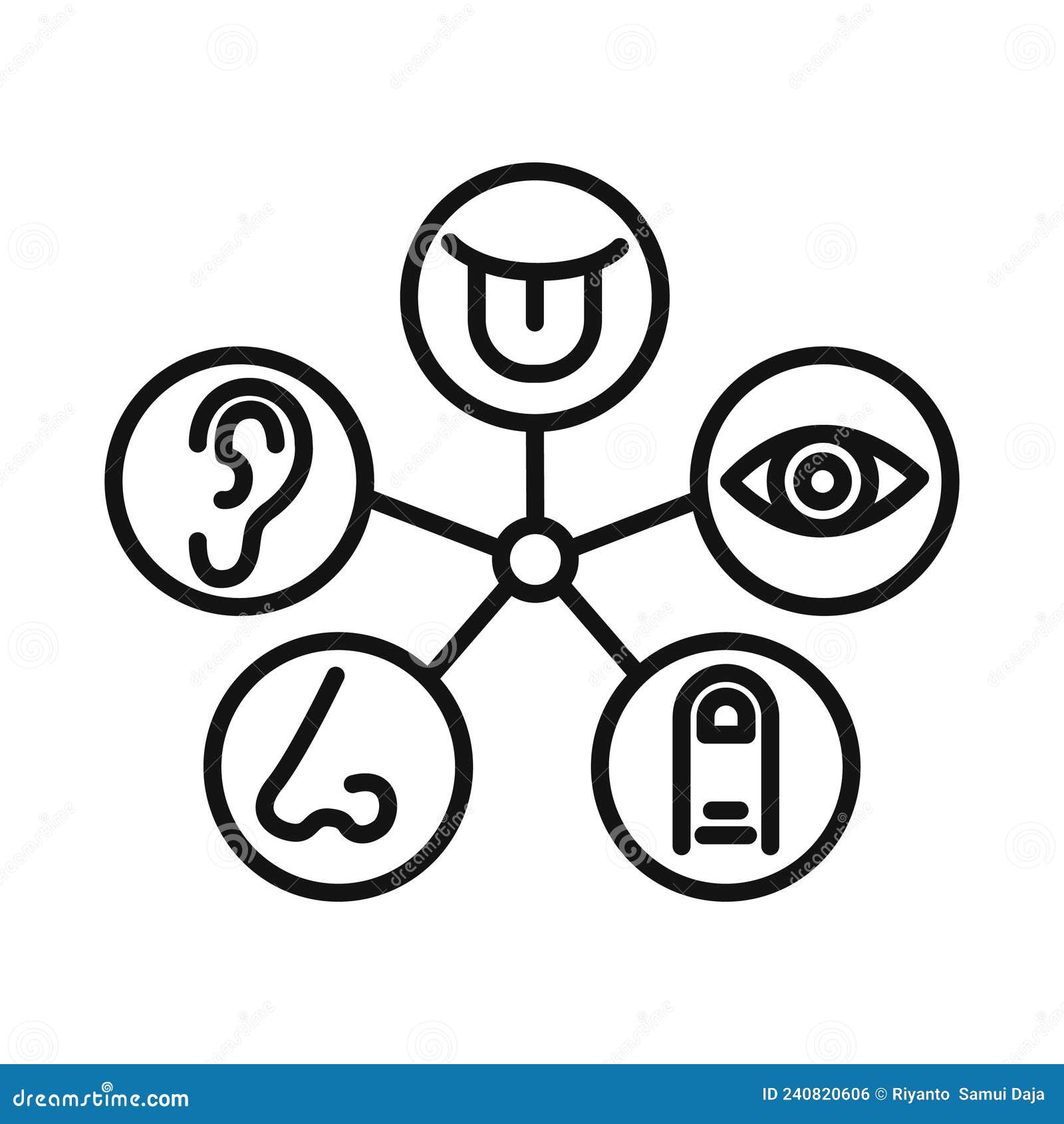 Sensory Reception In The Skin Dermatology Cartoon Vector ...