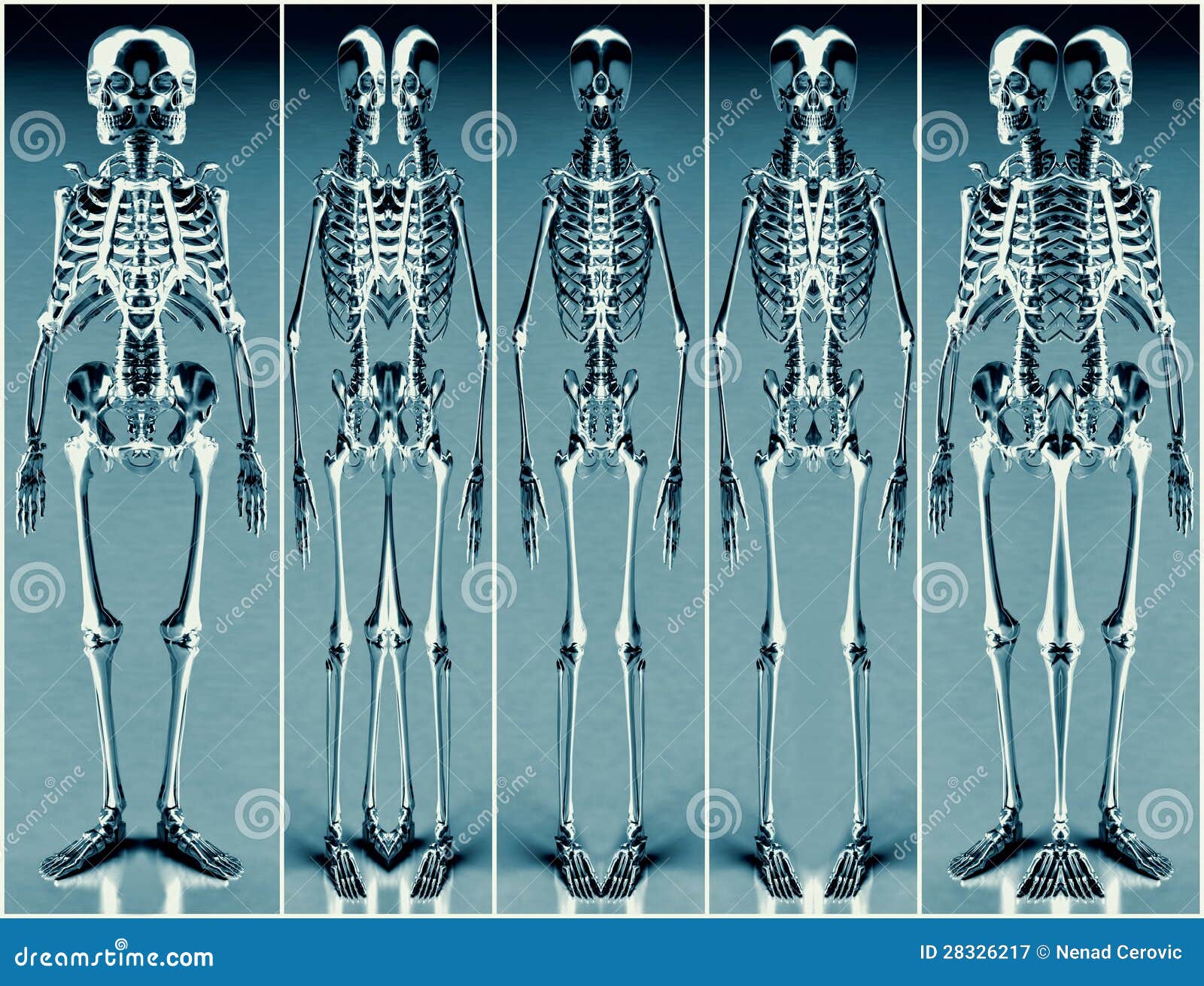 Alien Skeleton Stock Illustrations – 426 Alien Skeleton Stock ...