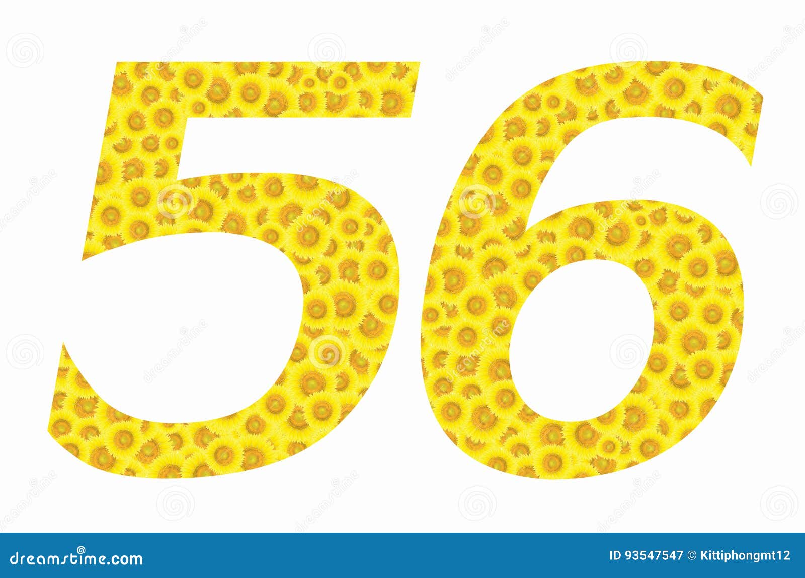Five and Six Sun Flower Sign on Isolated Backgrounds Stock Image ...