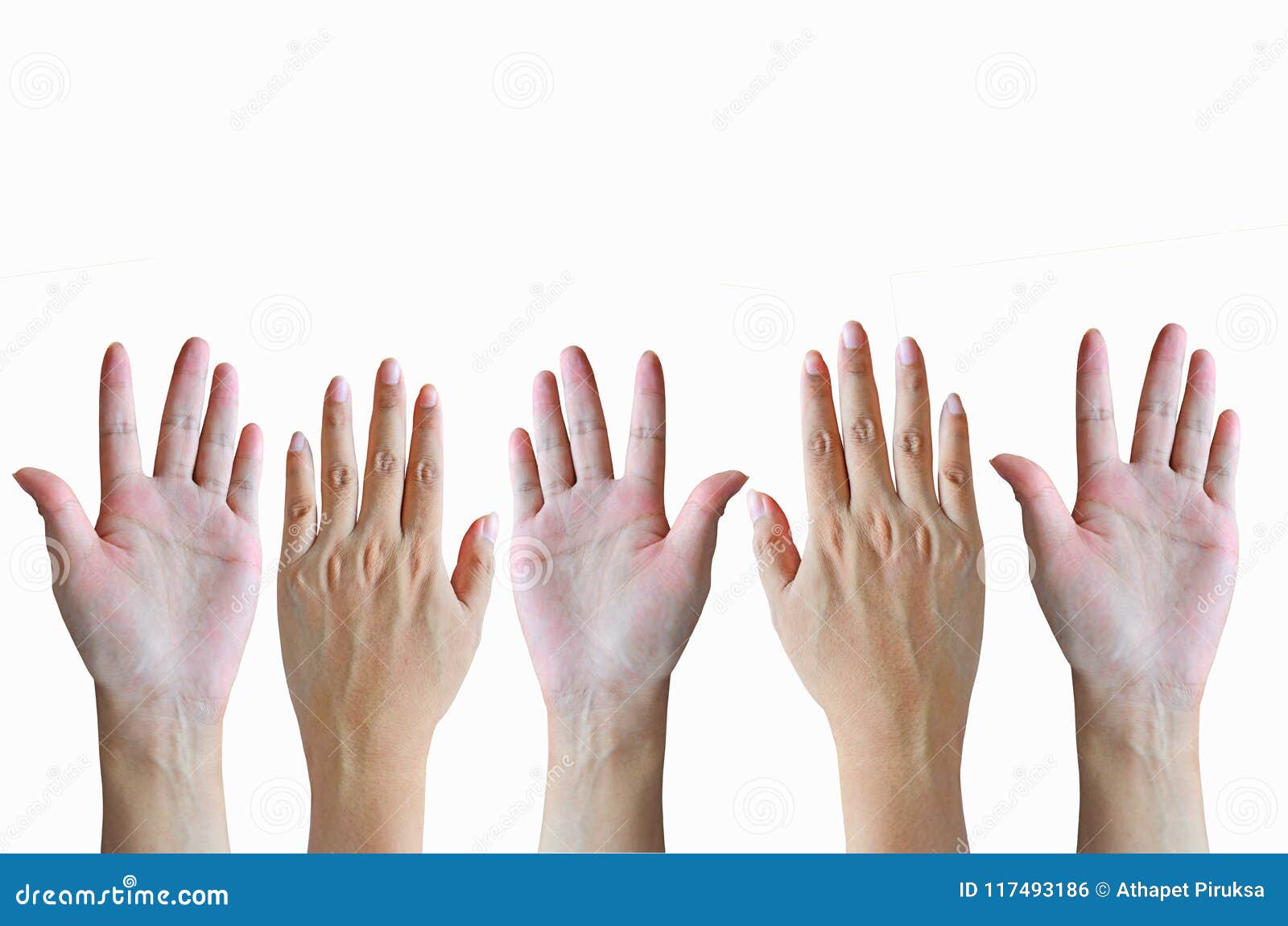 Five Slender Hands on White Background Stock Photo - Image of five ...