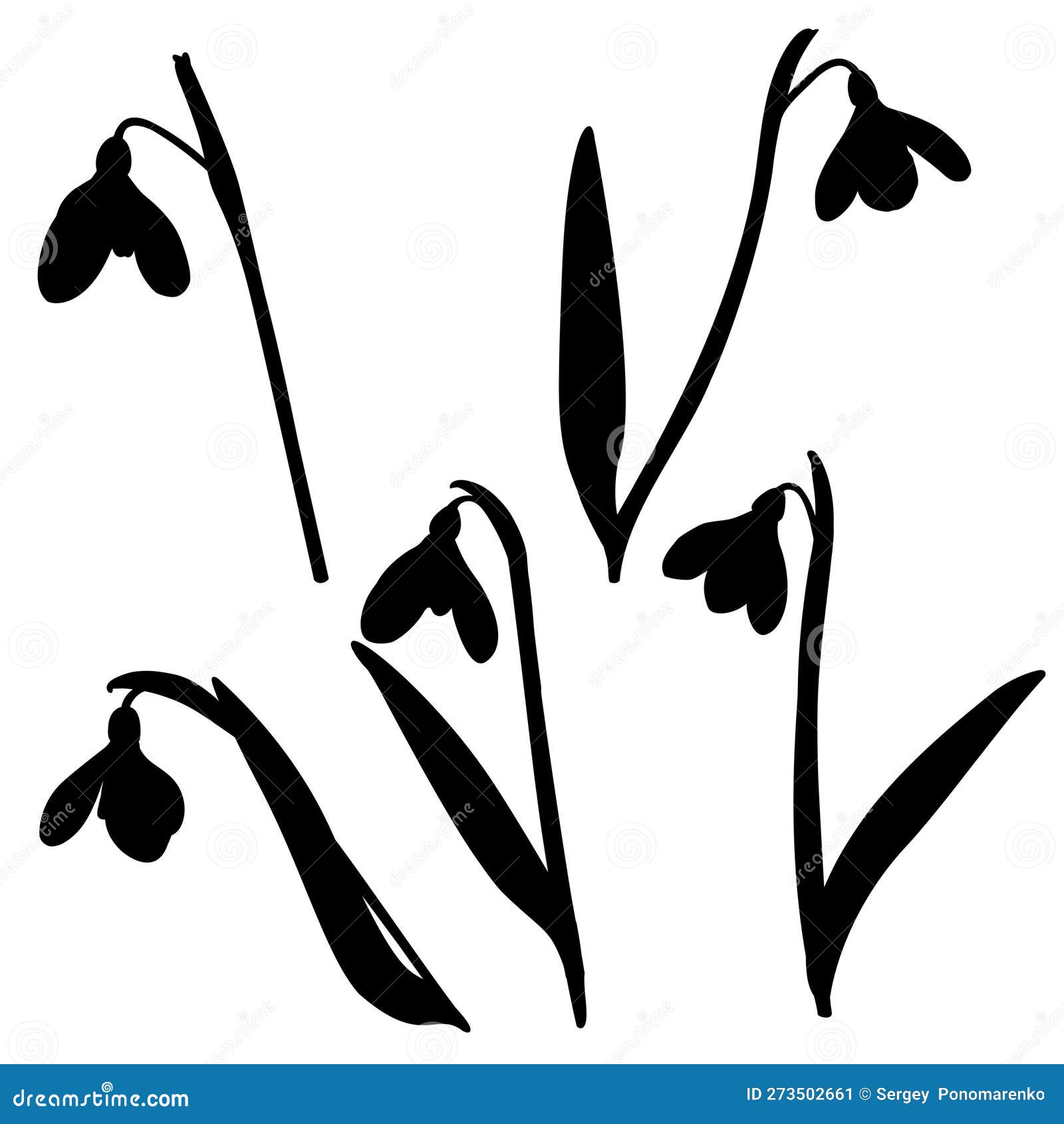 Vector Shape of Five Shoots of Spring Flowers Snowdrops Stock Vector ...