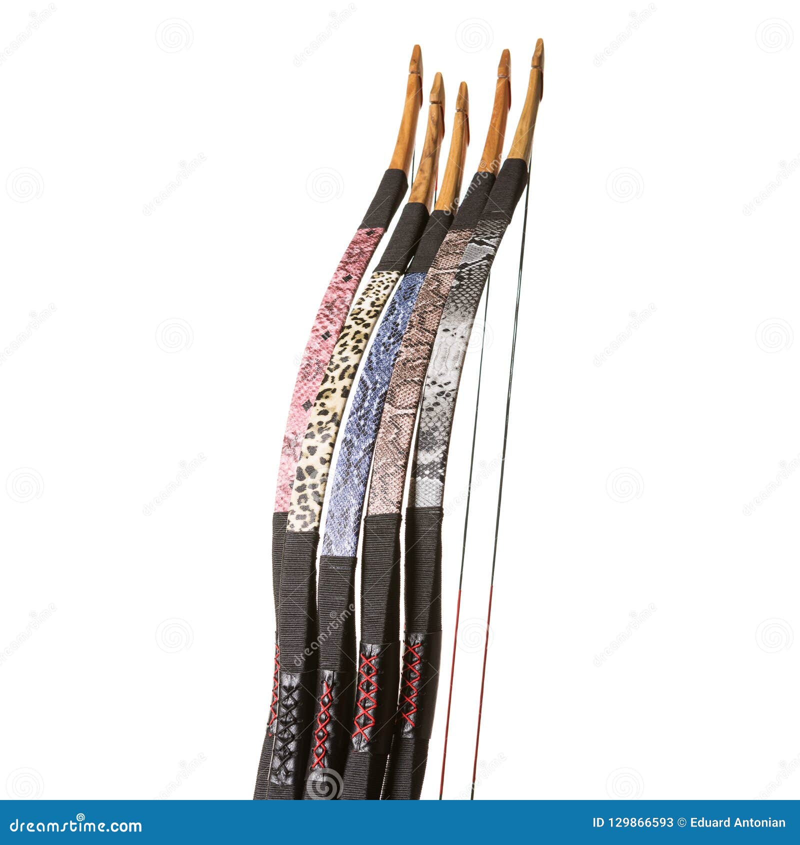 Five Sports Bows or Crossbows for Shooting Arrows, on a White ... Five Sports Bows or Crossbows for Shooting Arrows, on a White ...