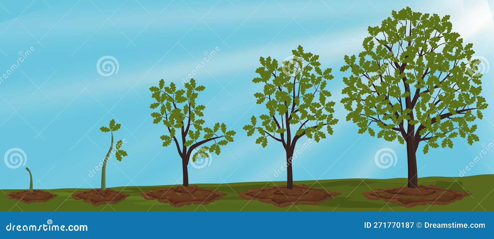 Five Stages of Growing Tree Against the Sky. Stock Vector ...