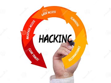 Five Stages of the Hacking Cycle Cybersecurity Process Stock Photo ...