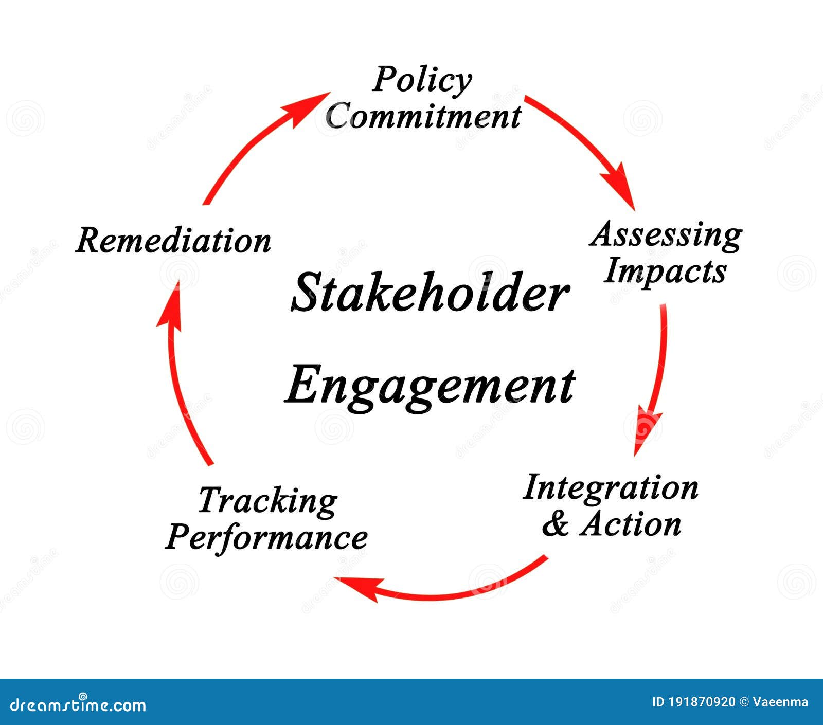 Stages in Stakeholder Engagement Stock Illustration - Illustration of ... Stages in Stakeholder Engagement Stock Illustration - Illustration of ...