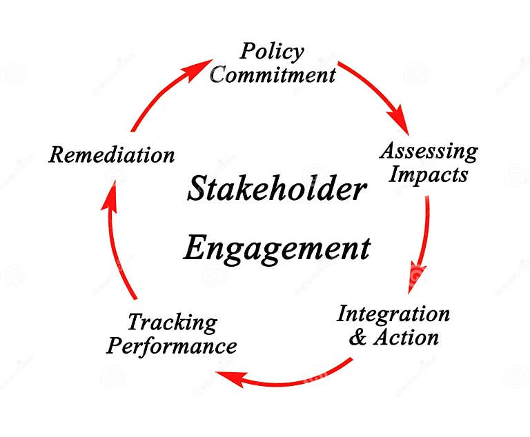 Stages in Stakeholder Engagement Stock Illustration - Illustration of ...