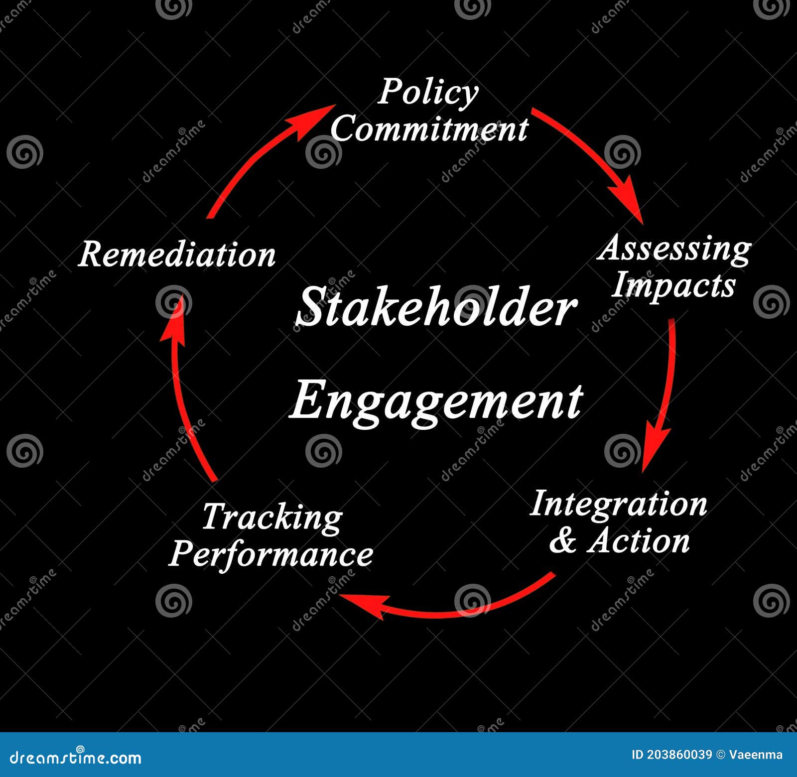 Stages in Stakeholder Engagement Stock Illustration - Illustration of ...