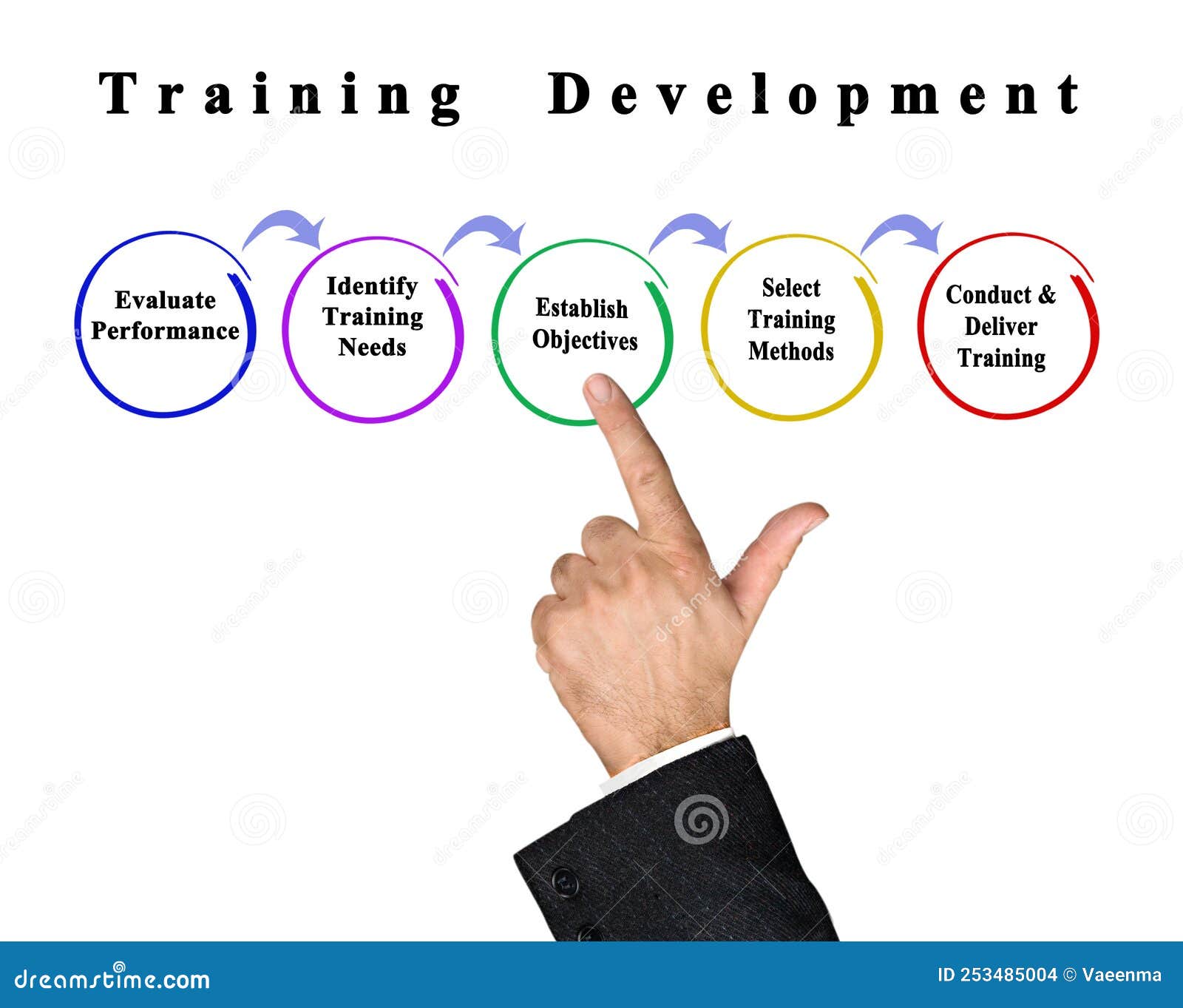 Stages of Training Development Stock Photo - Image of select, training ...
