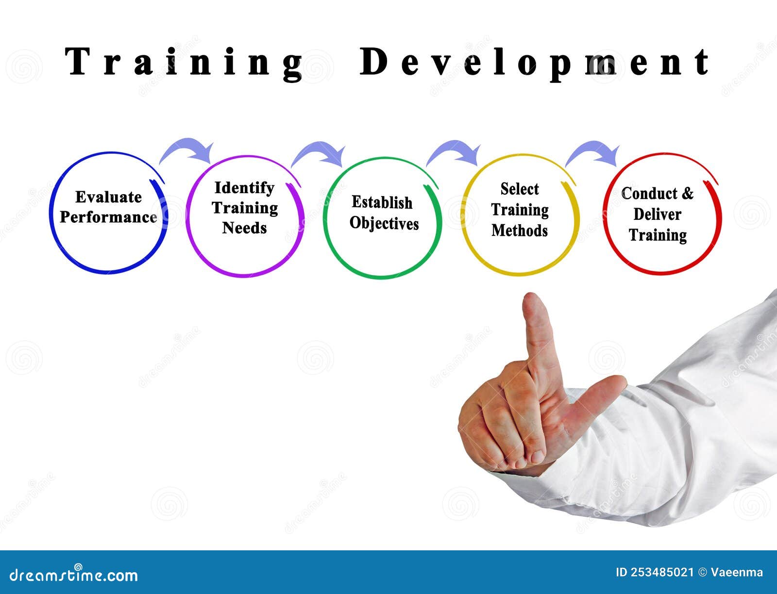 Stages of Training Development Stock Image - Image of identify ...