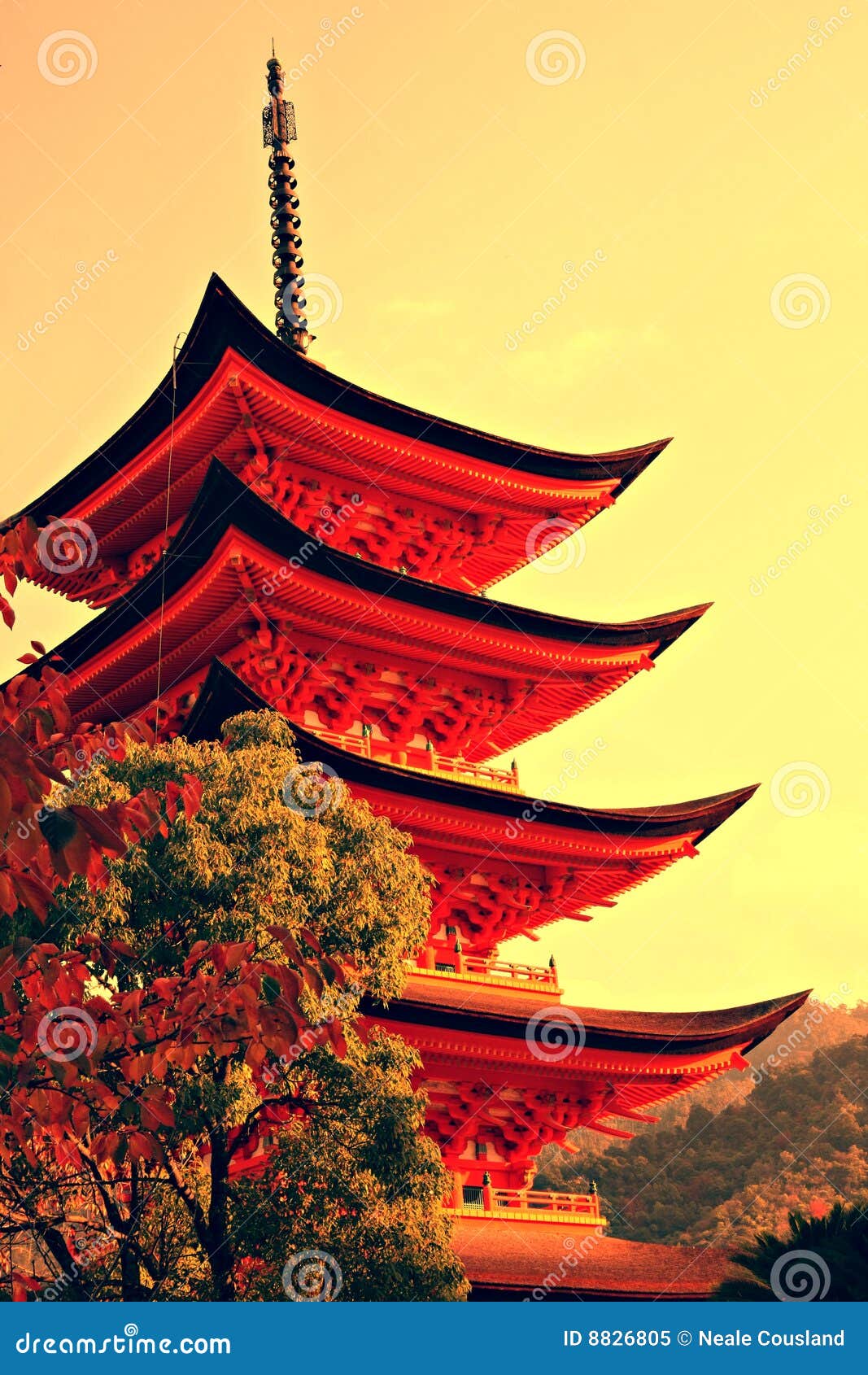 Five-storey pagoda stock image. Image of sightseeing, shinto - 8826805