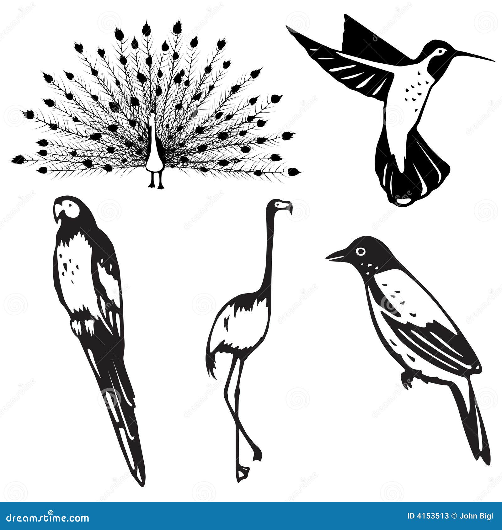 Five Stylized Bird Illustrations Cartoon Vector | CartoonDealer.com ...