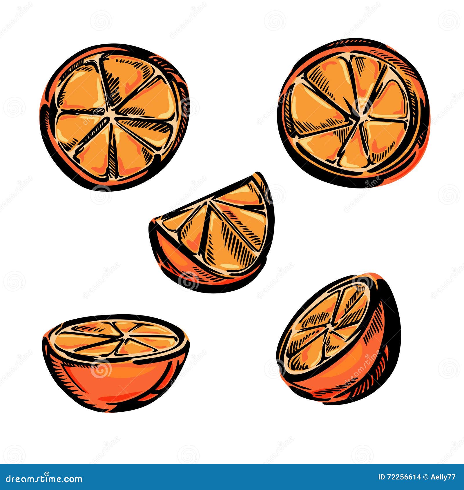 Five Stylized Pieces of Orange. Stock Vector - Illustration of ...