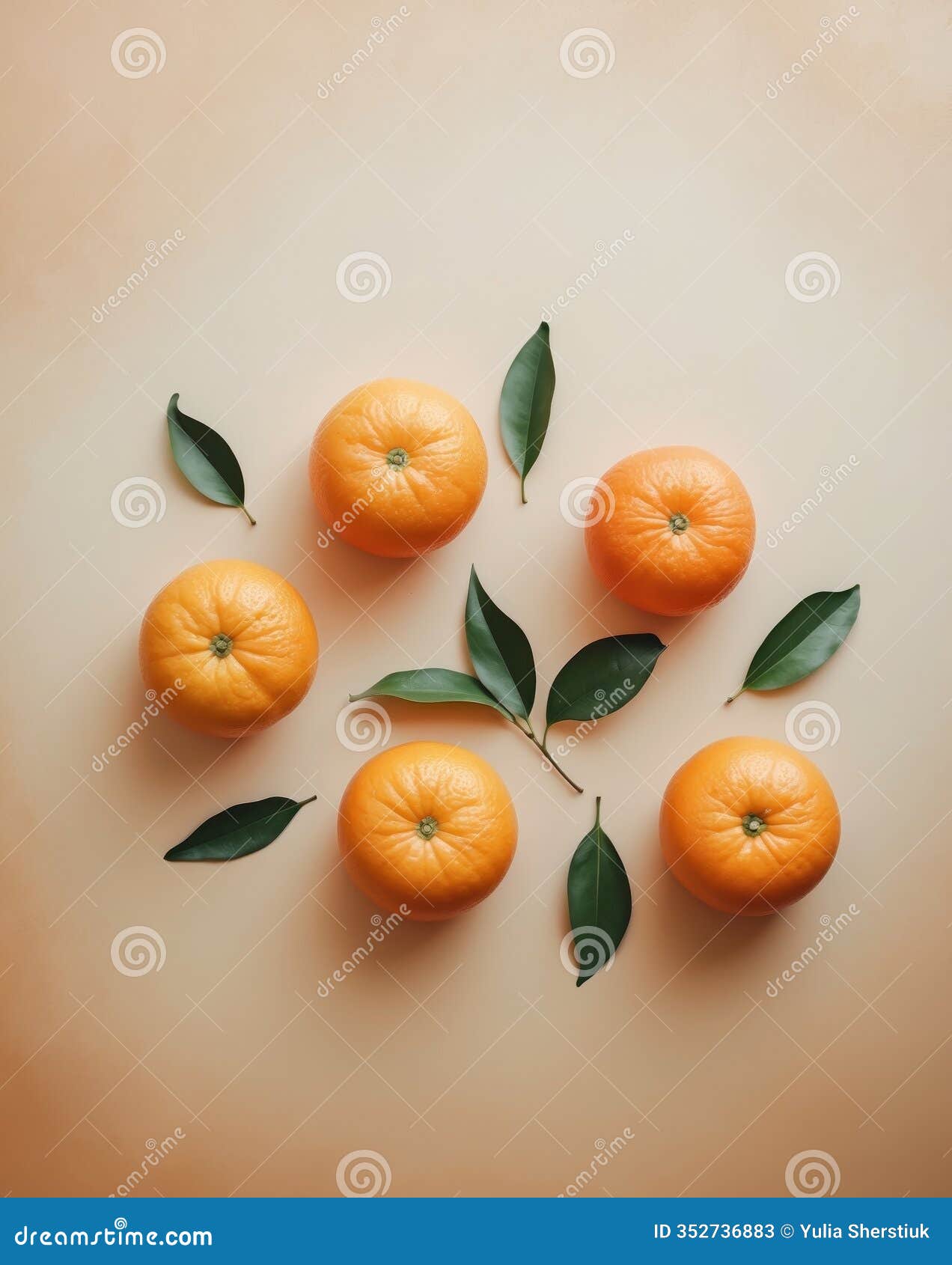 Five Tangerines and Four Leafy Sprigs Lay Flat on a Tan Background ...