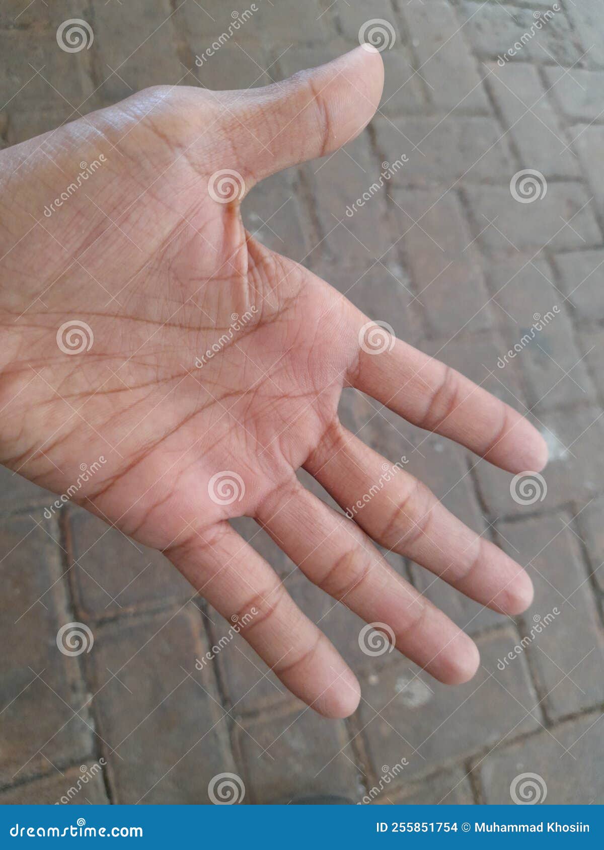 Five Thin Fingers of Hand for Working Hard Stock Photo - Image of chest ...