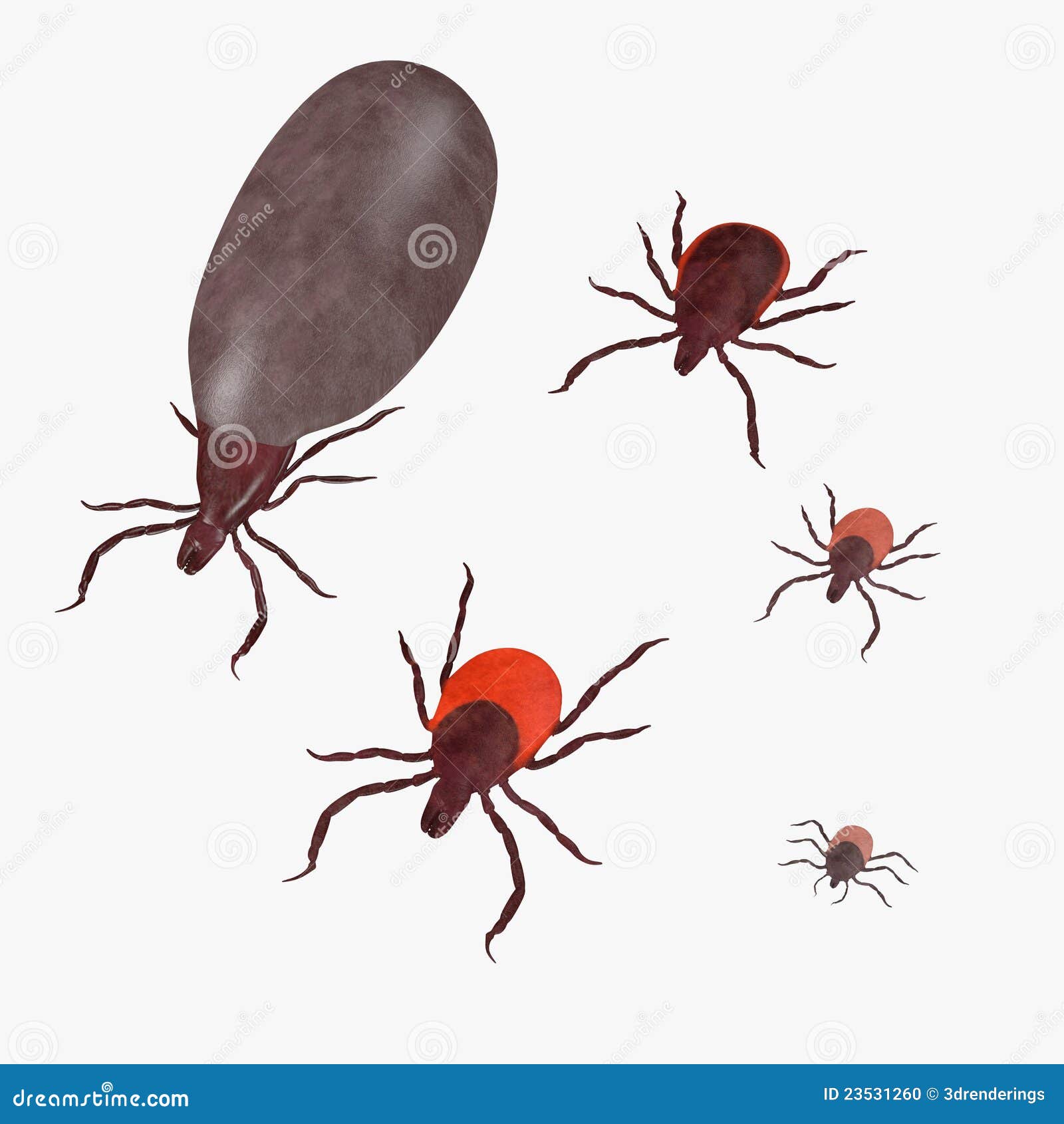 Five tick animals stock illustration. Illustration of disease - 23531260