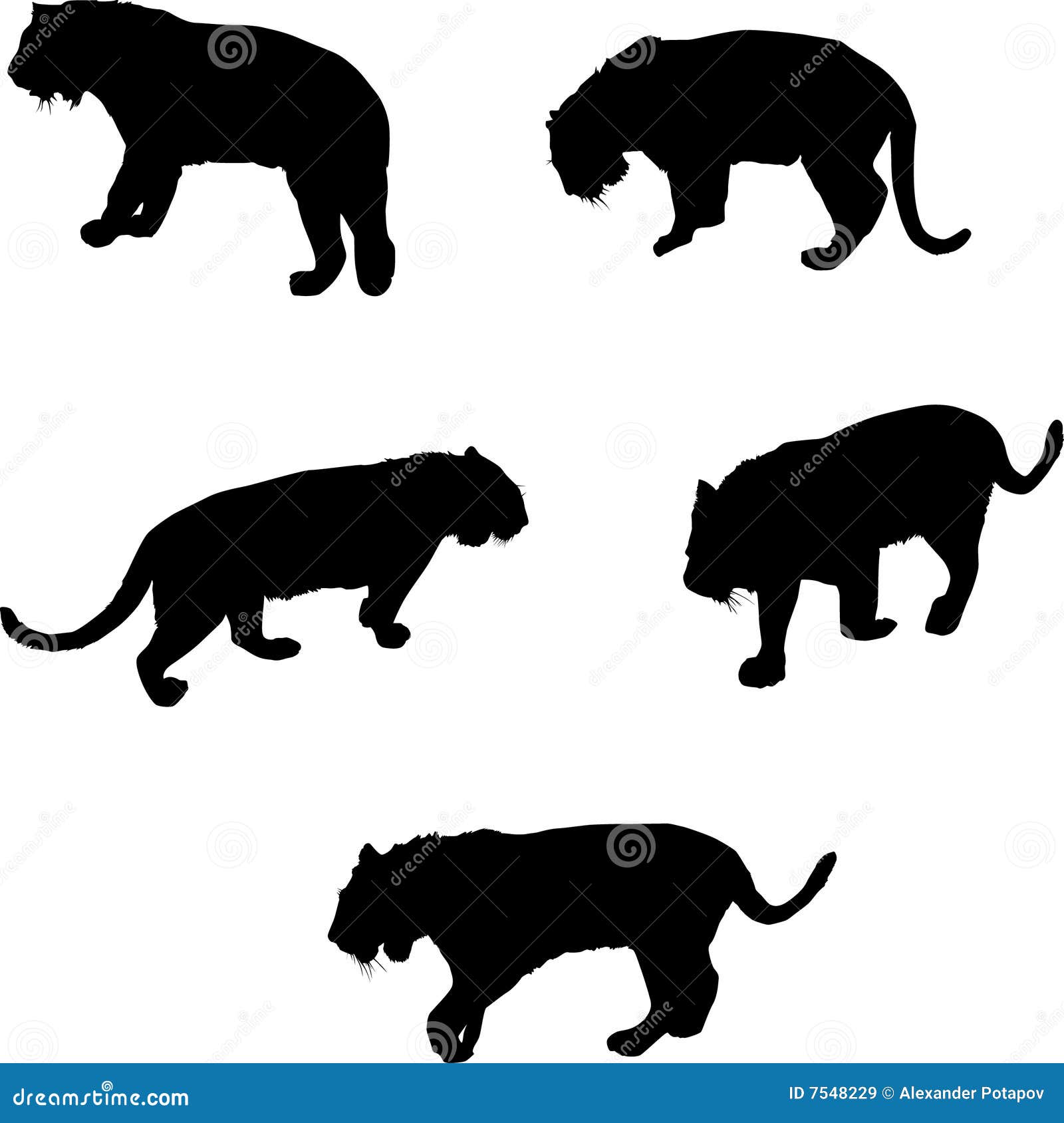 Five tiger silhouettes stock illustration. Illustration of bengal - 7548229