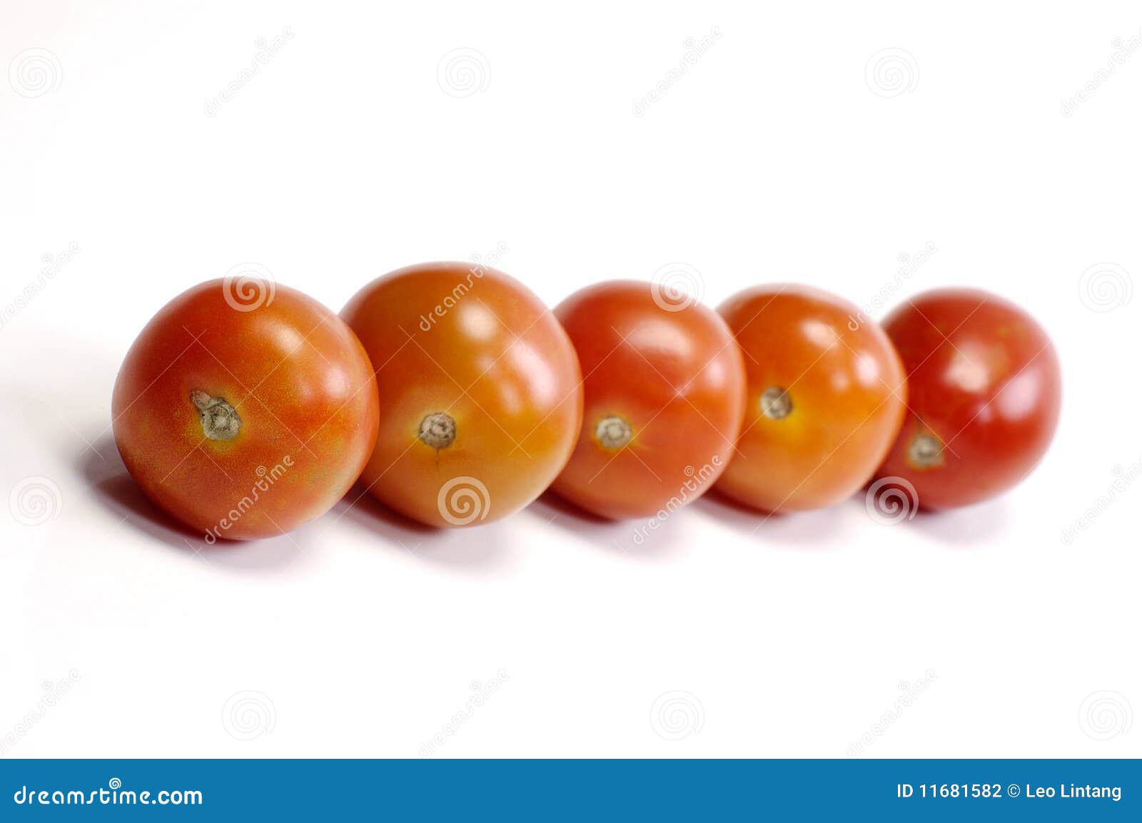 Five Tomatoes stock photo. Image of plant, nutrition - 11681582