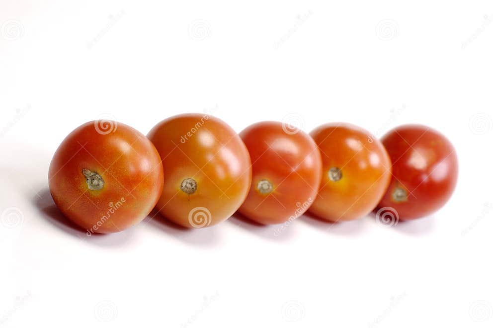 Five Tomatoes stock photo. Image of plant, nutrition - 11681582