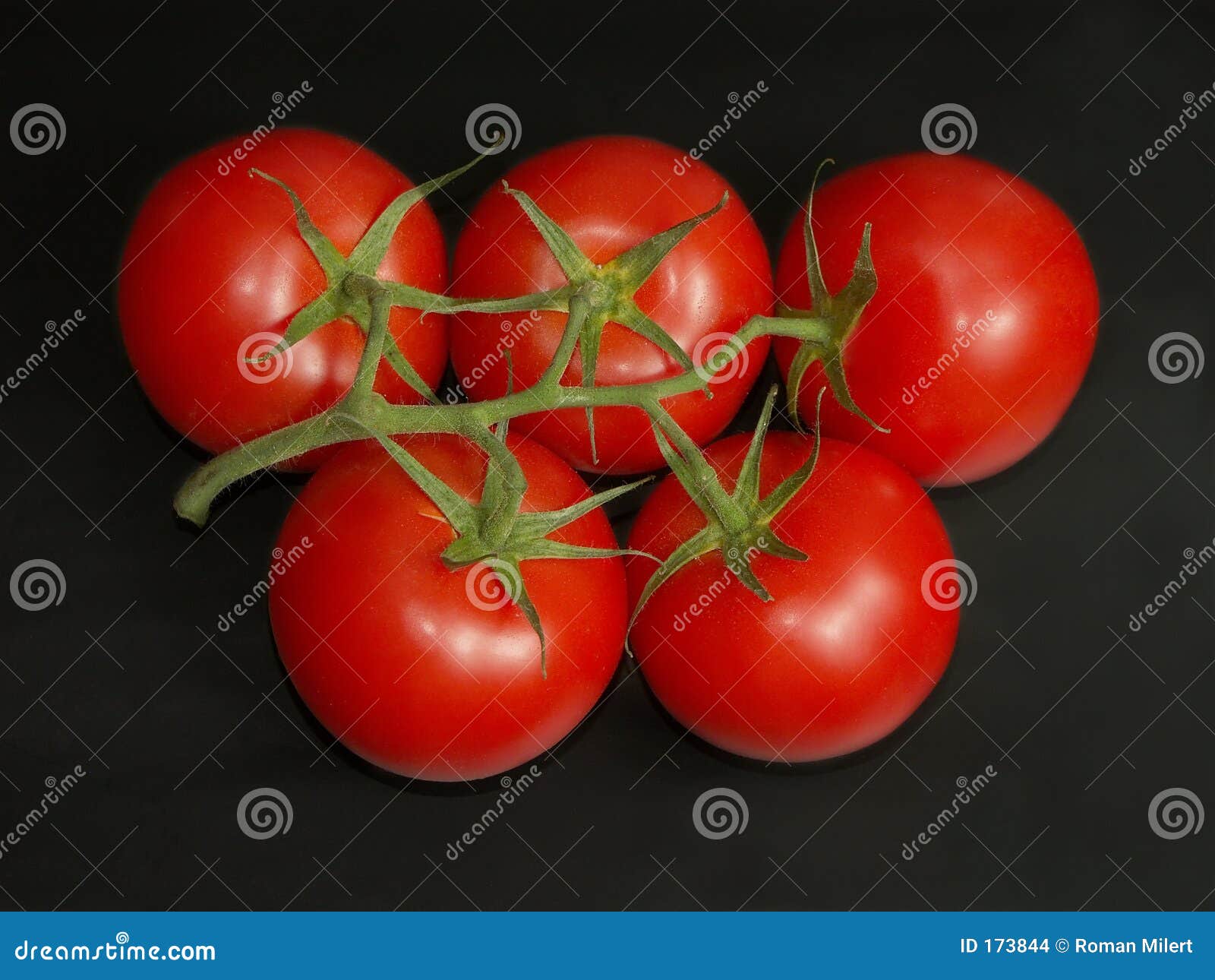 Five tomatoes stock photo. Image of composition, connected - 173844
