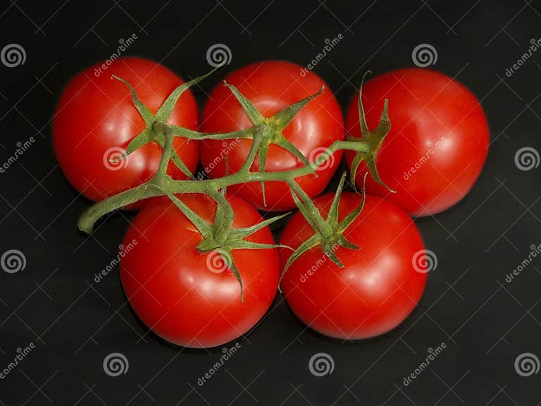 Five tomatoes stock photo. Image of composition, connected - 173844