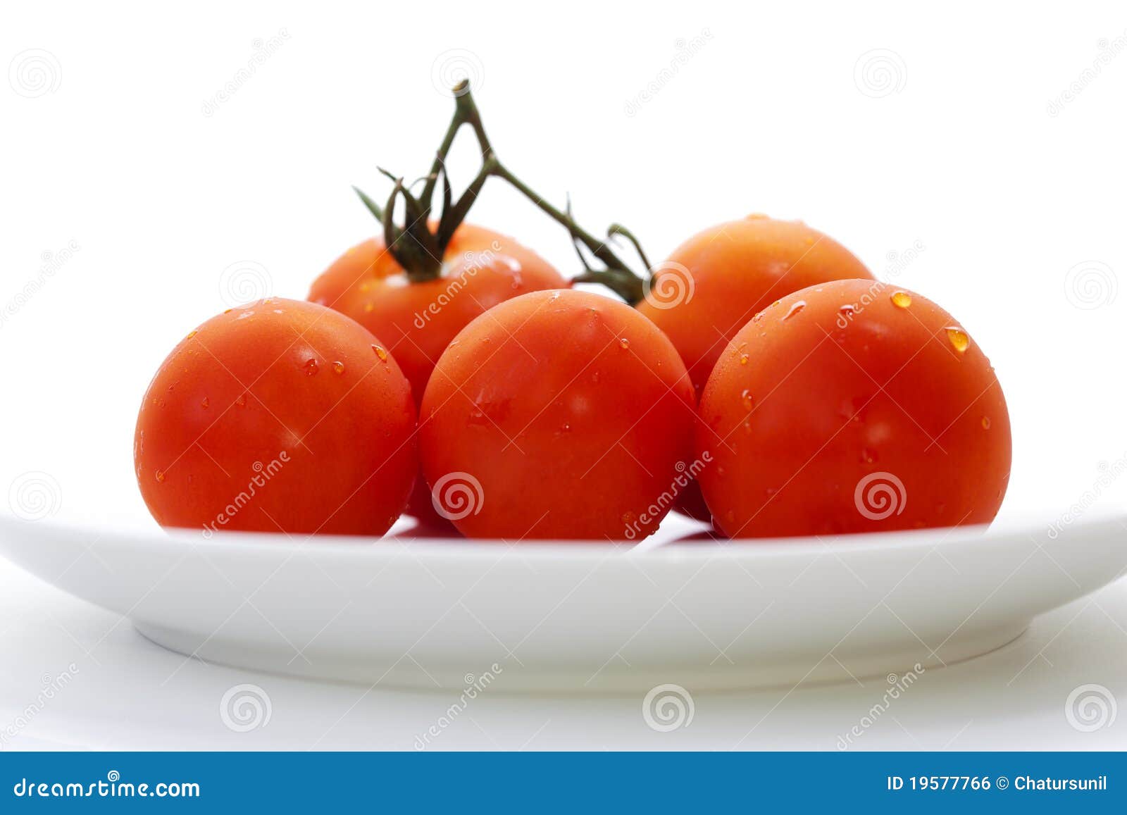 Five Tomatoes stock photo. Image of leaf, macro, bright - 19577766