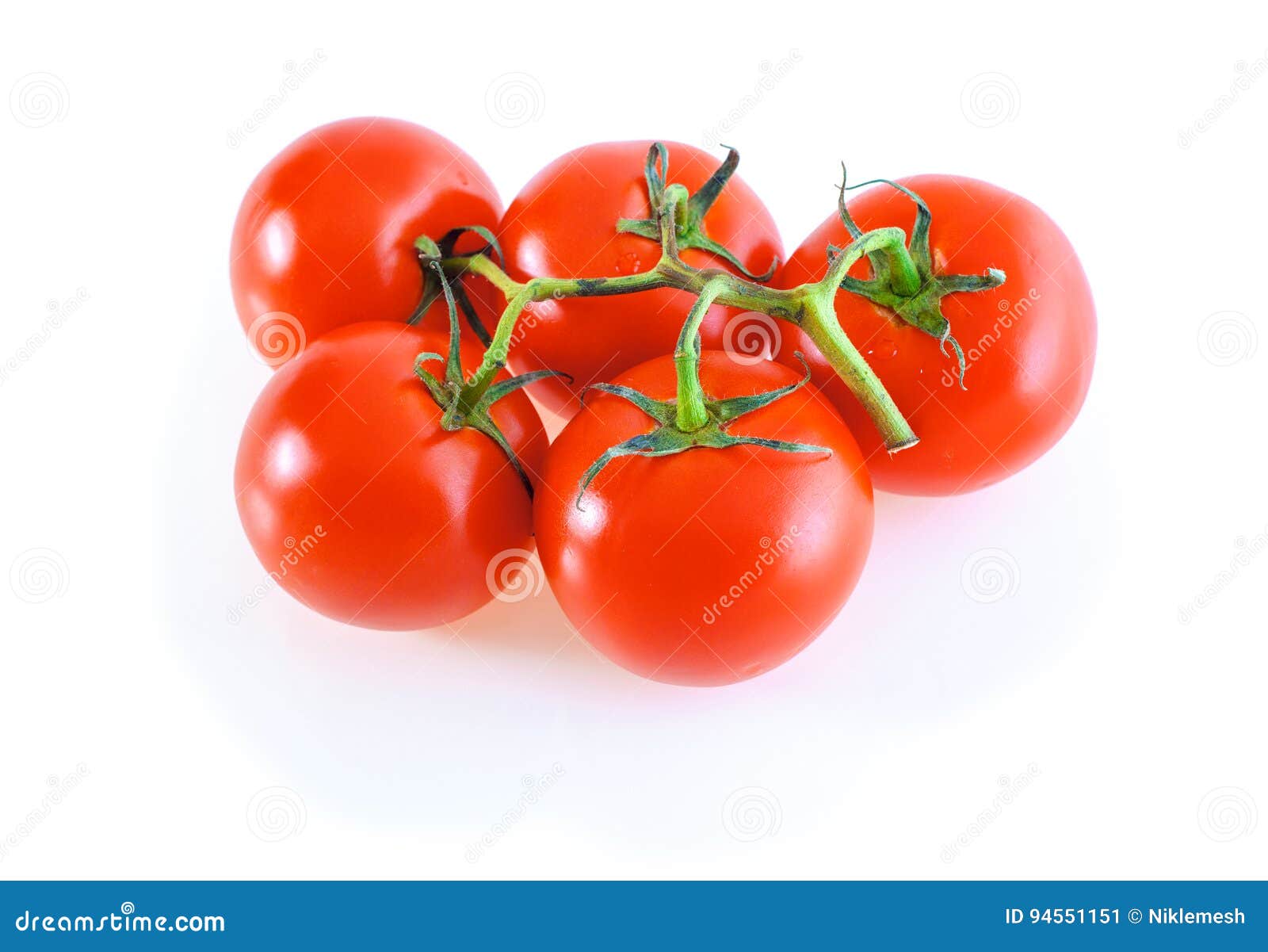 Five Tomatoes on a Branch Isolated Stock Image - Image of color, bunch ...