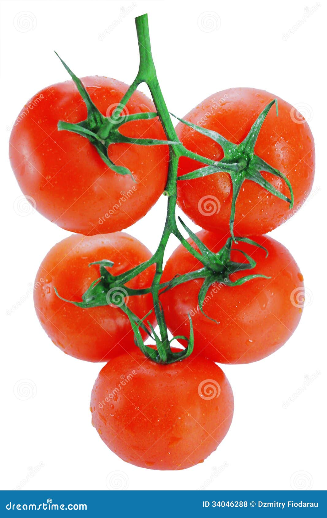 Five Tomatoes Isolated on White Background Stock Photo - Image of ...